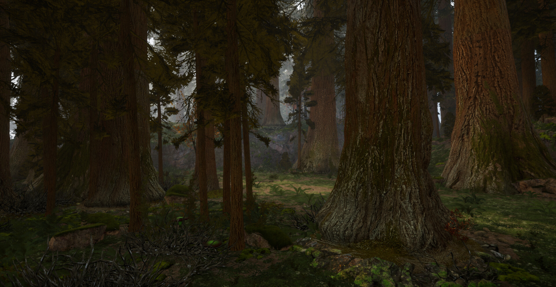 Evan Johnsen - Procedural Forest Lighting Studies
