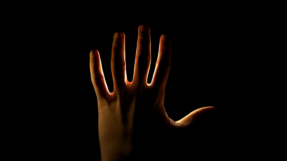 ArtStation - CGI hand.