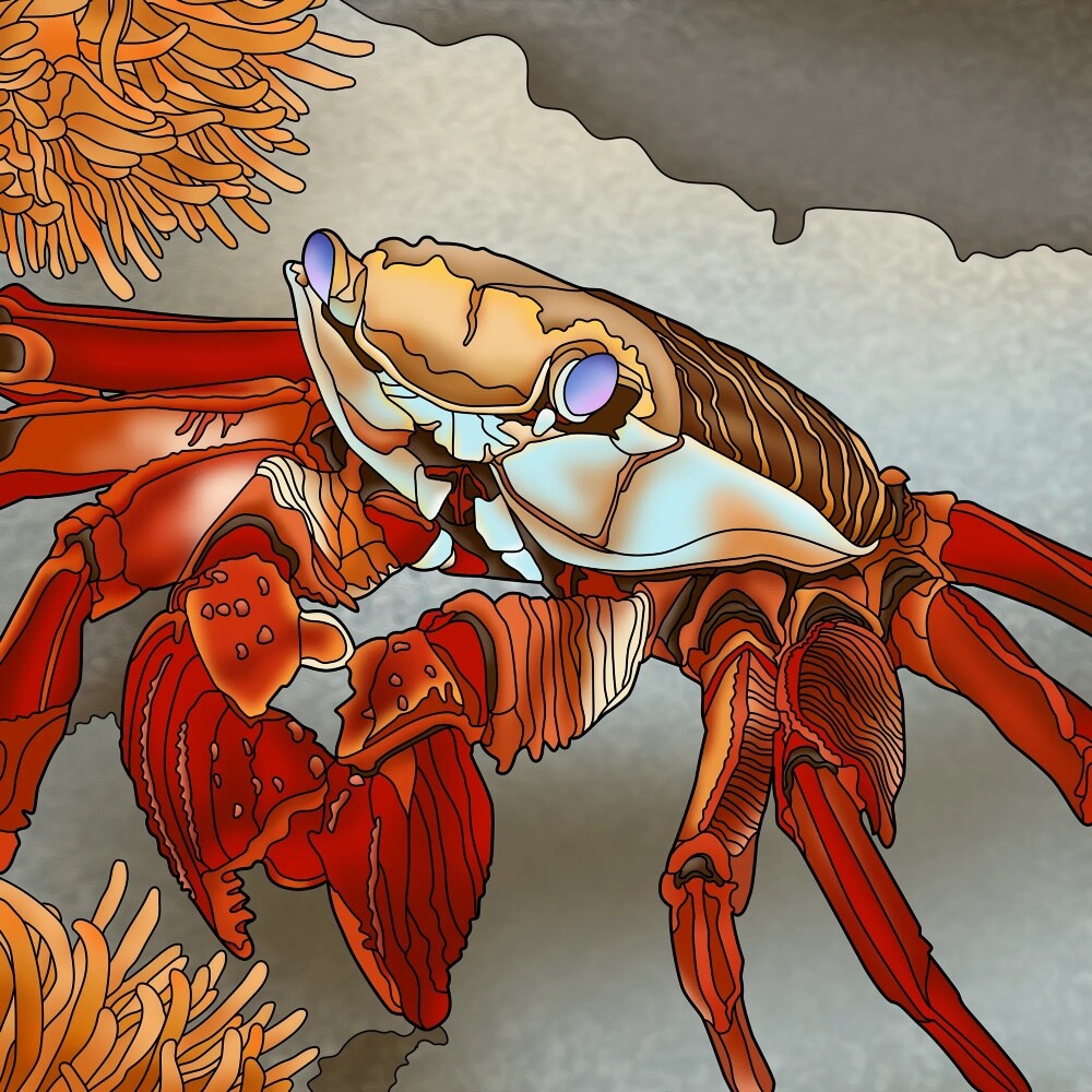 ArtStation - Crab