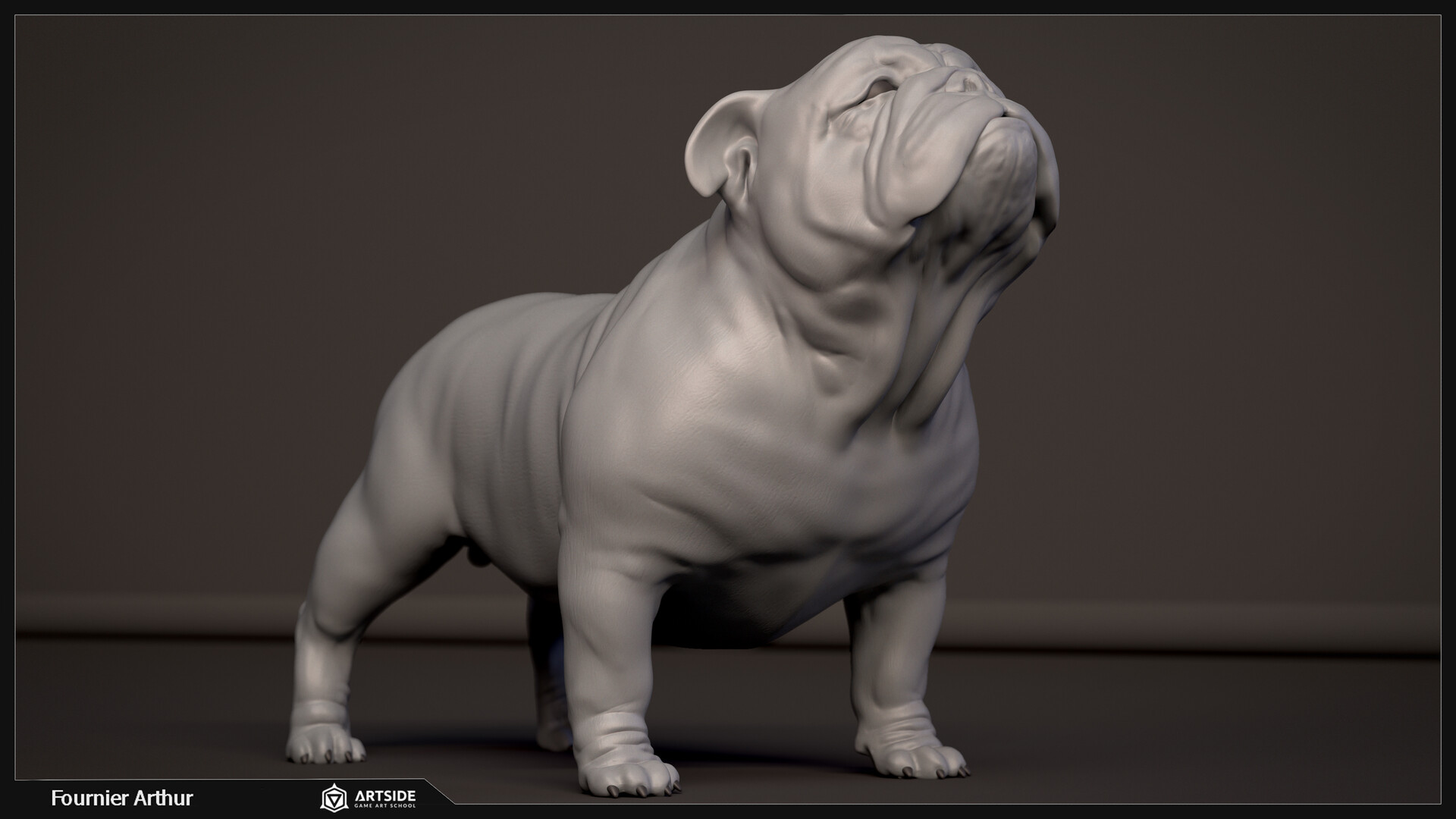 ArtStation - English Bulldog - Quick Animal Study