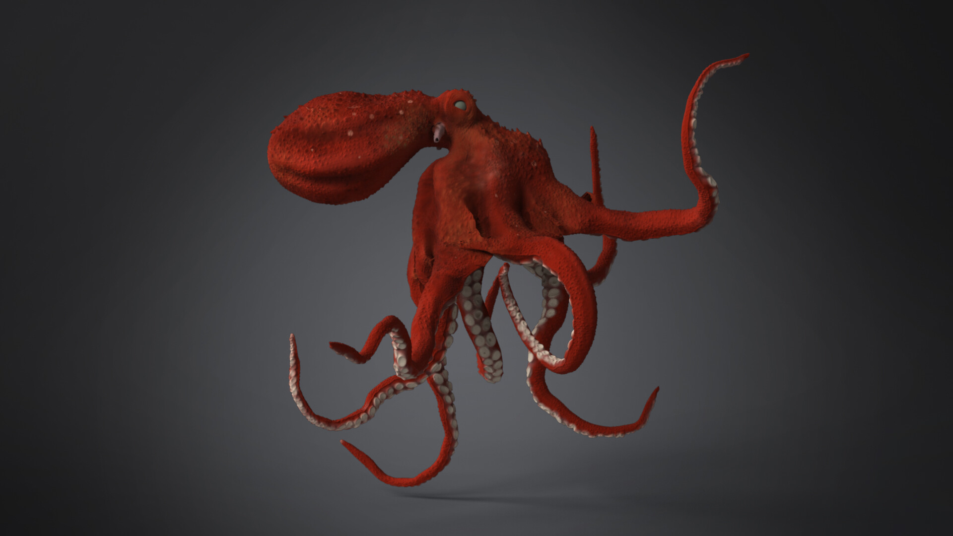 ArtStation - Pulpo
