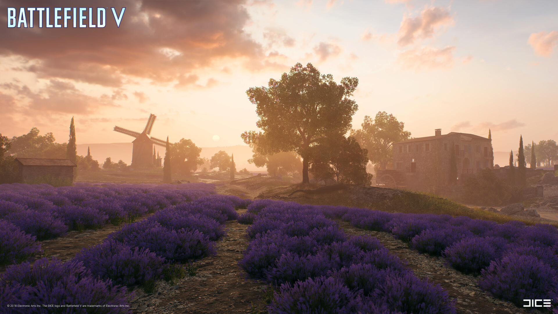 Pawel Jan Nowak - Battlefield 5 - Provence
