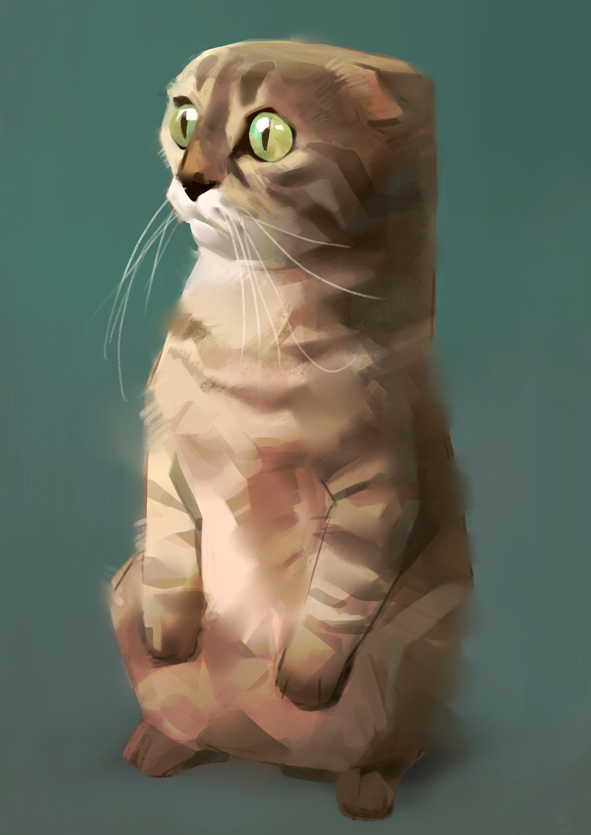 thomas-mahon-cat.jpg (1887×2667)-花瓣网