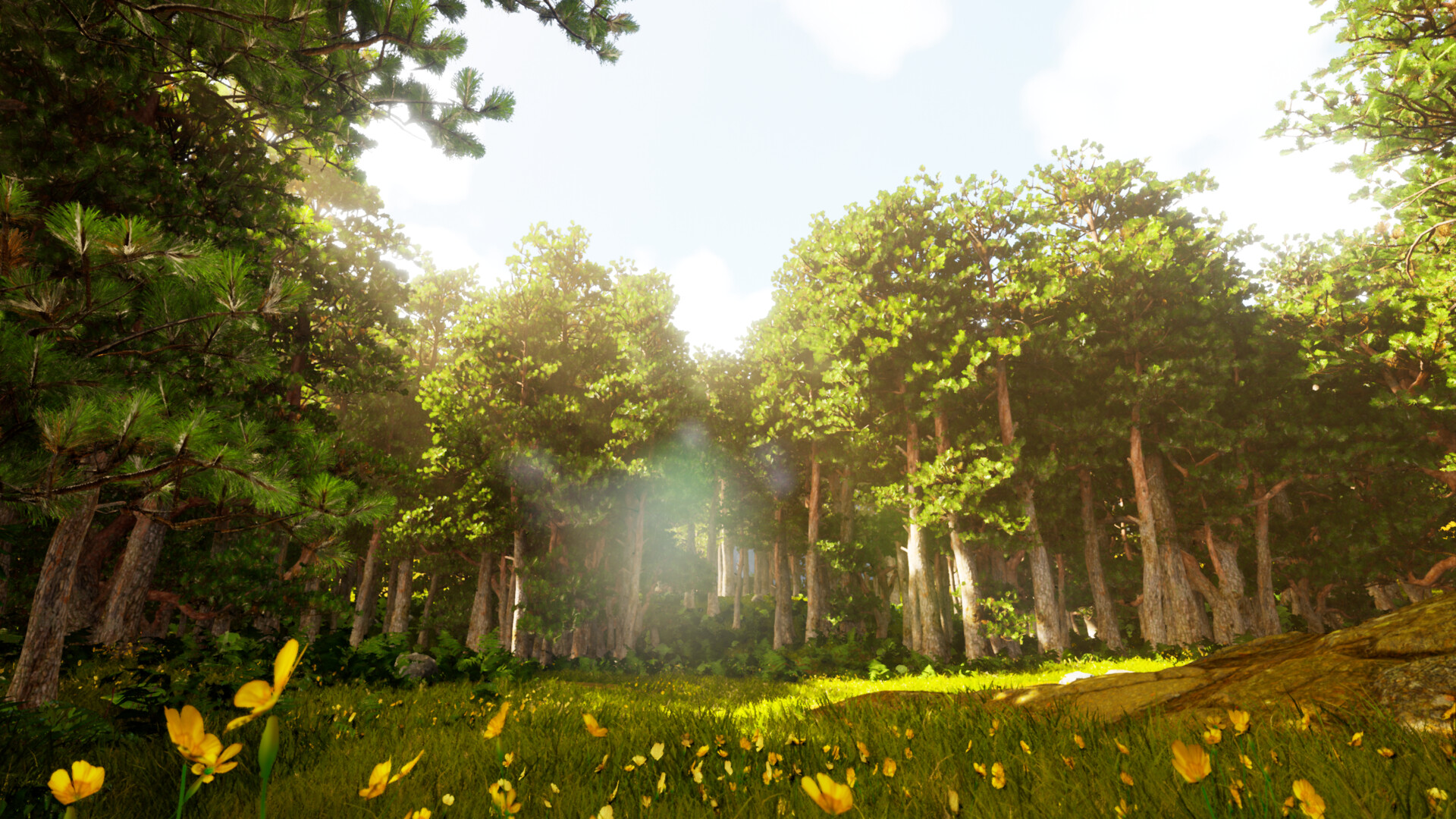 ArtStation - Houdini-UE4 Terrain test