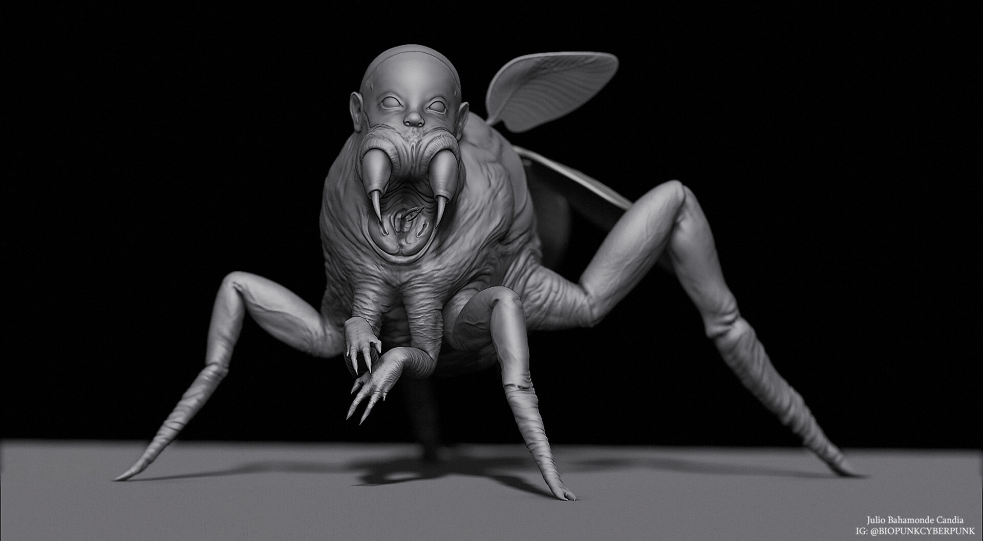 ArtStation - Baby bug - WIP 02