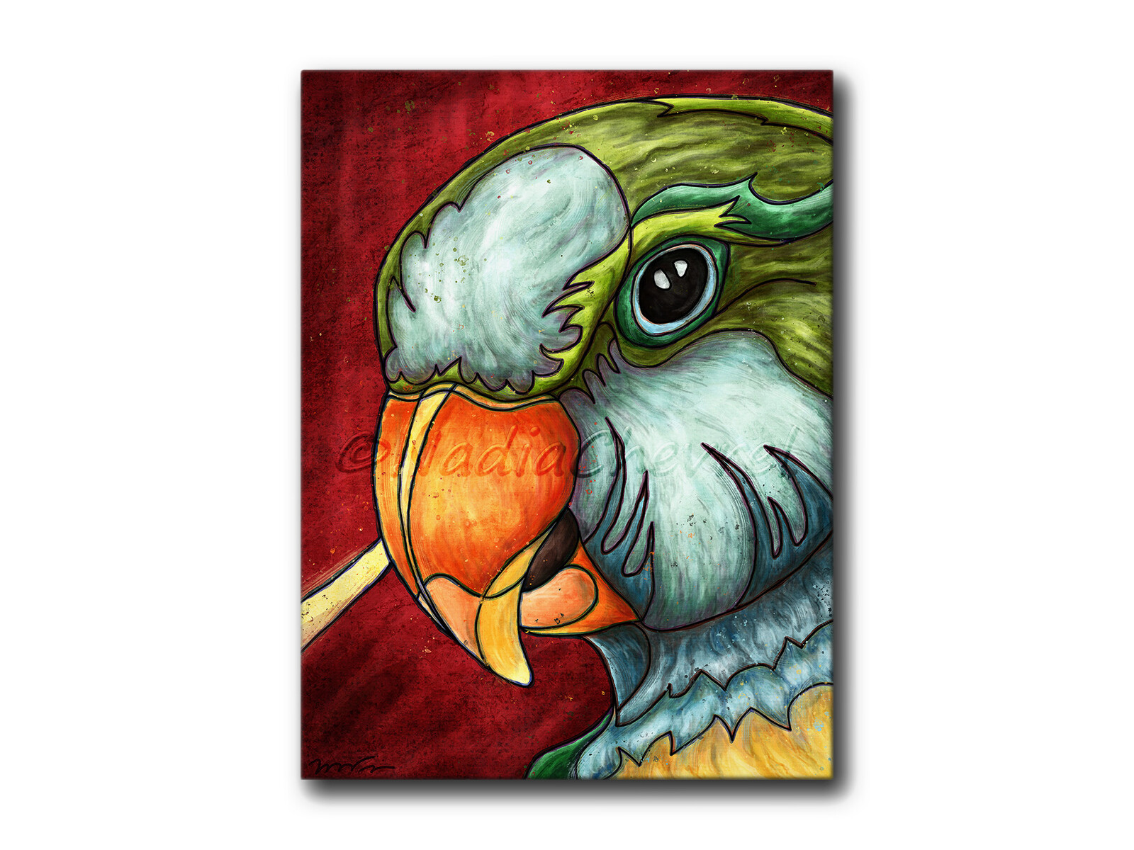 Nadia CHEVREL - Quaker parrot painting