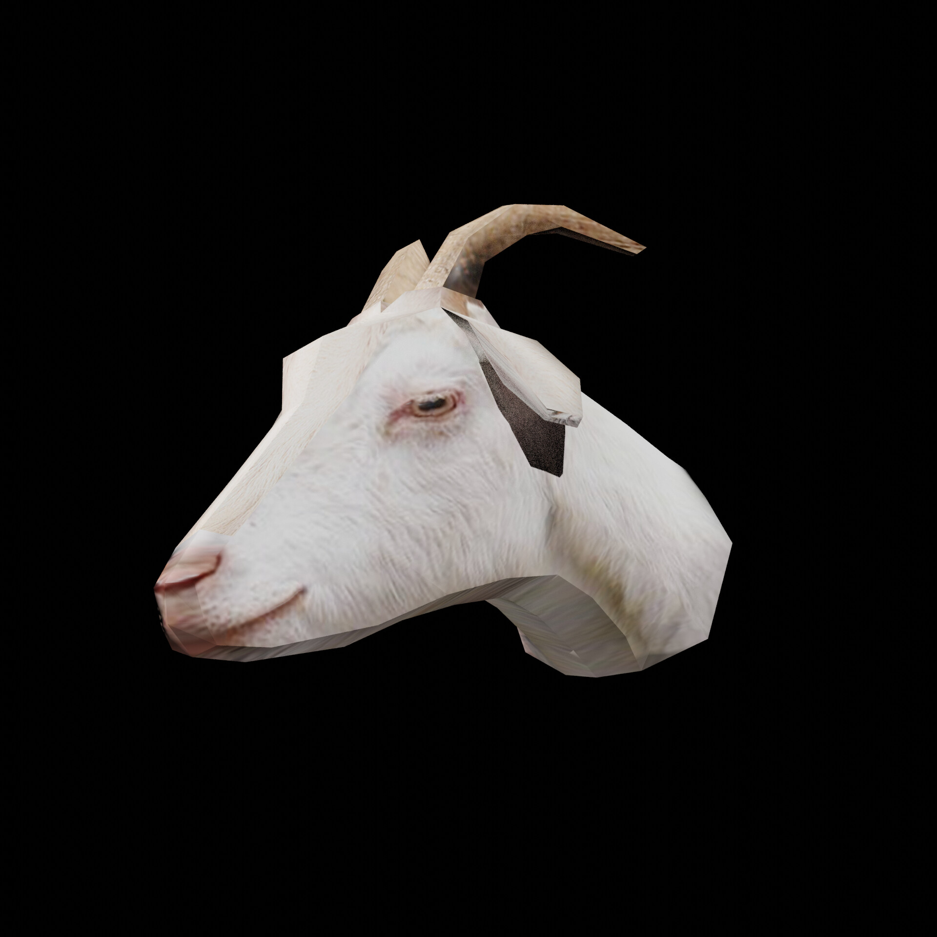 ArtStation - Lowpoly goat head