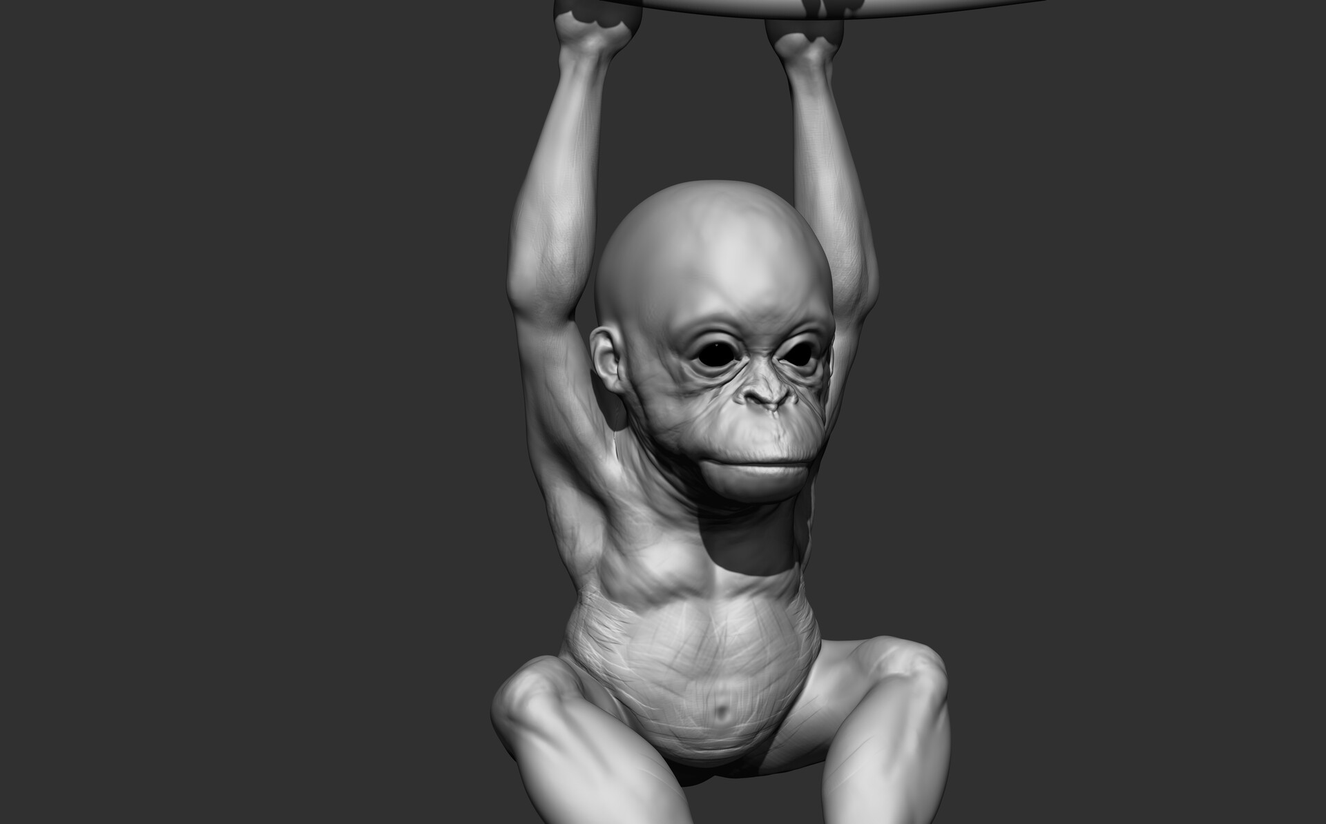 ArtStation - Chimp CASE STUDY