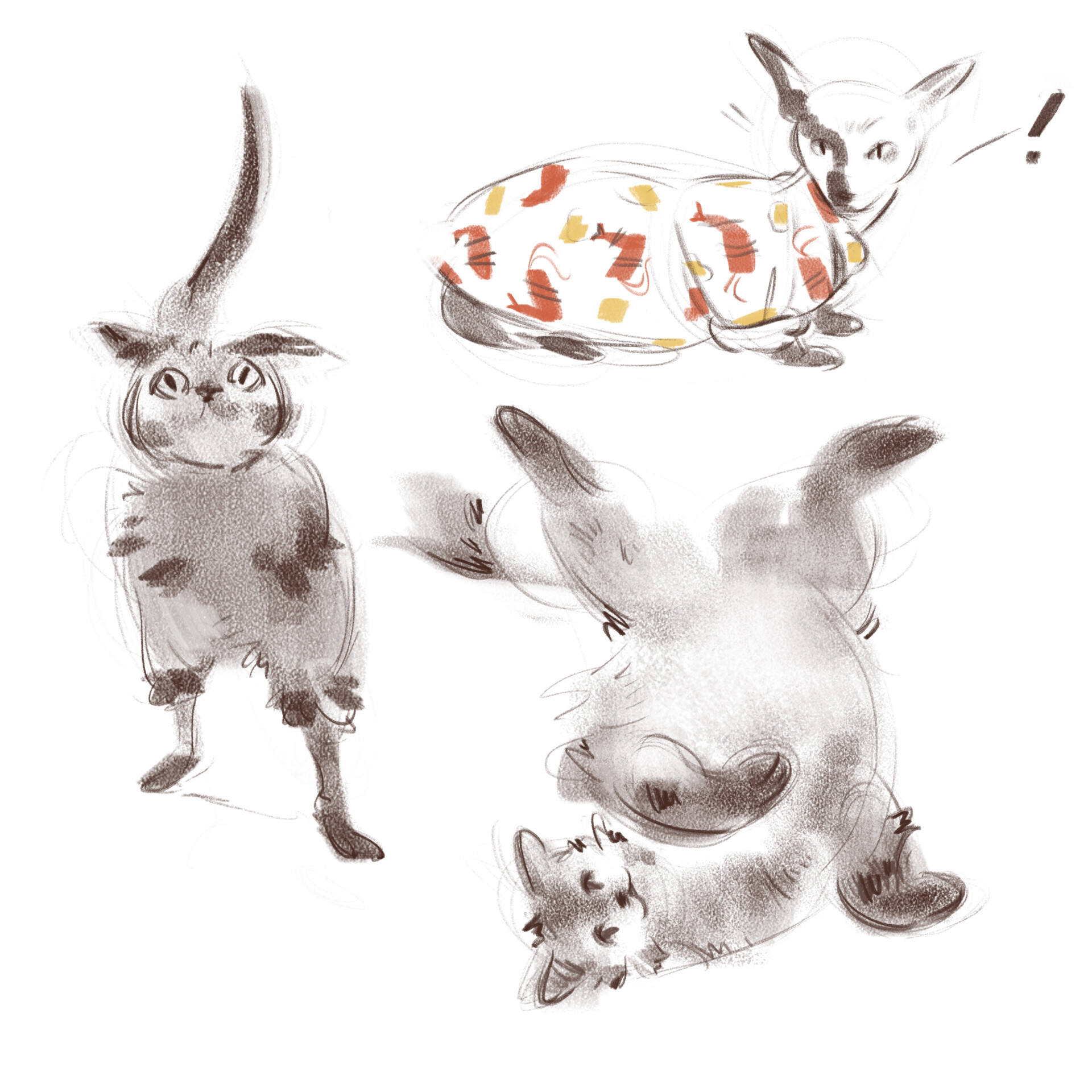 Darya Vereshchagina Funny Cats