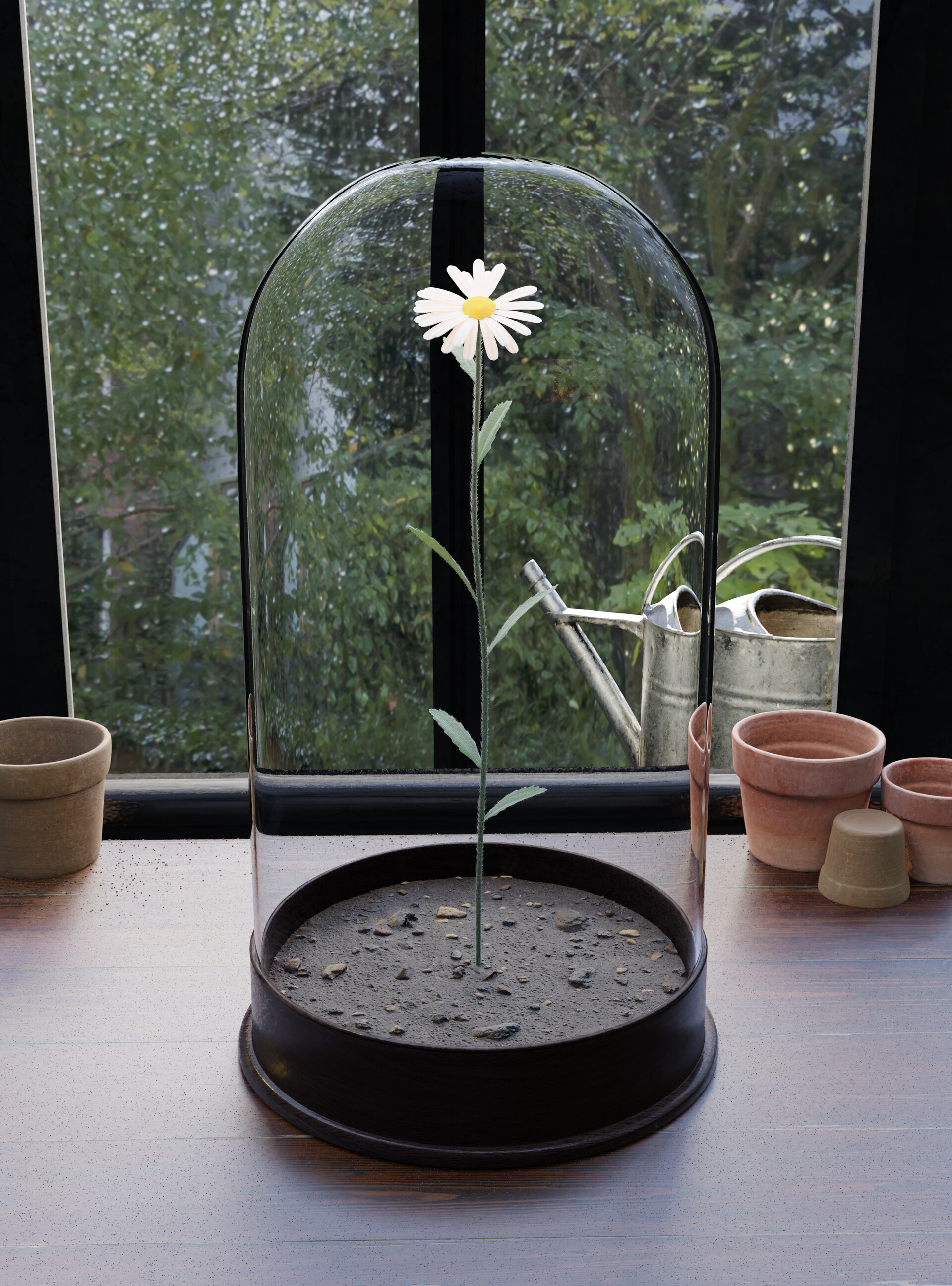 ArtStation - Daisy, Light Rework