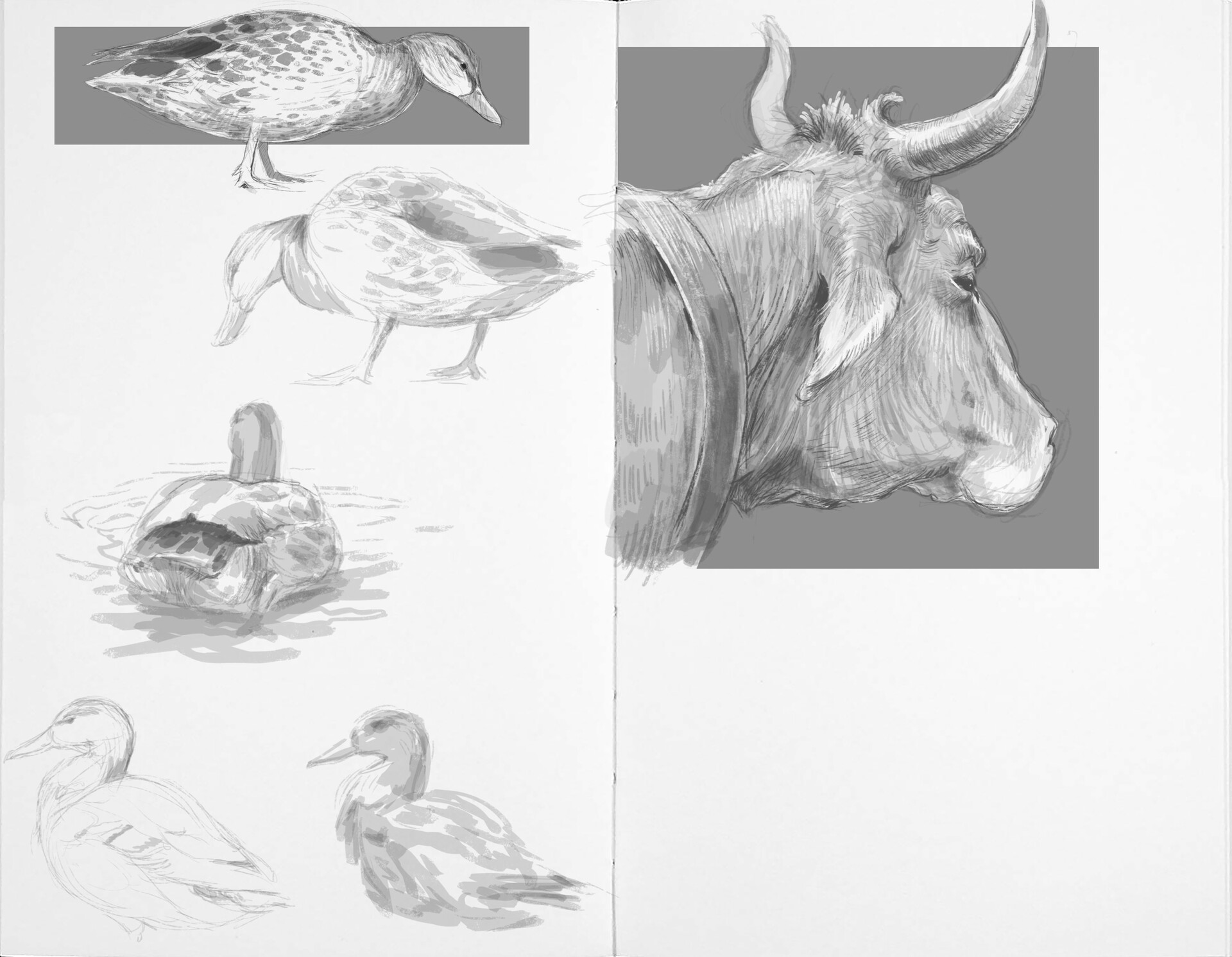 ArtStation - Sketchbook 001: Animals
