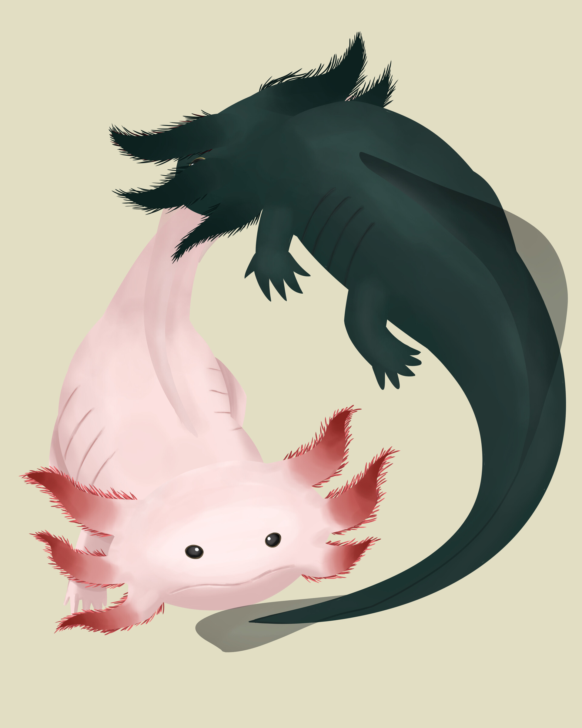 ArtStation - Axolotl