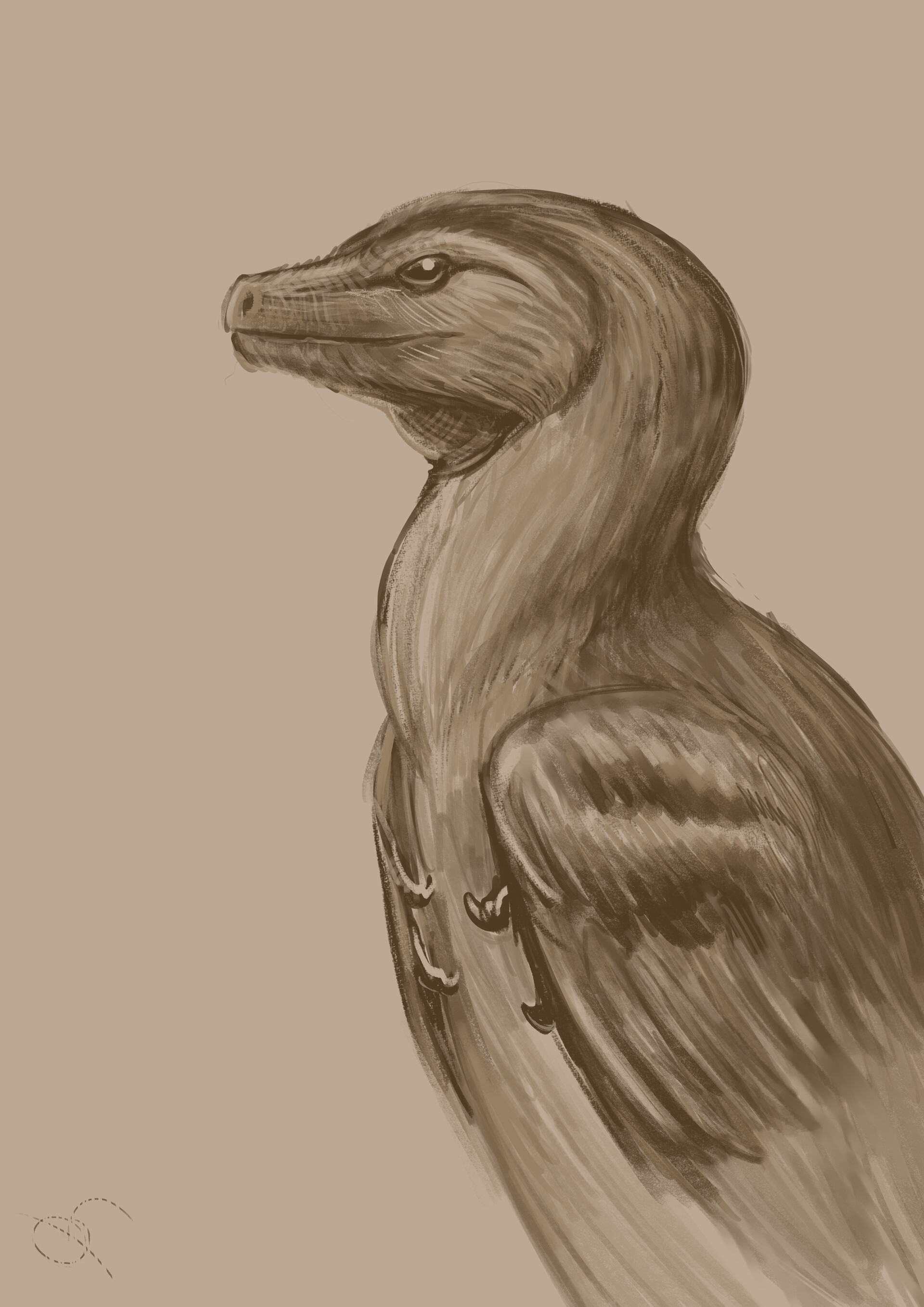 ArtStation - Dromaeosaur Drawings