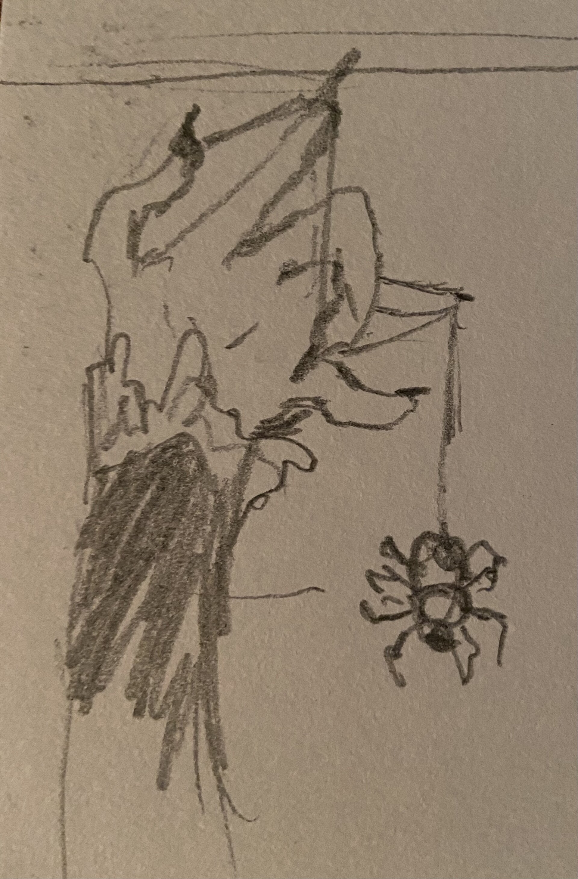 ArtStation - Witch hand sketch. Enjoy