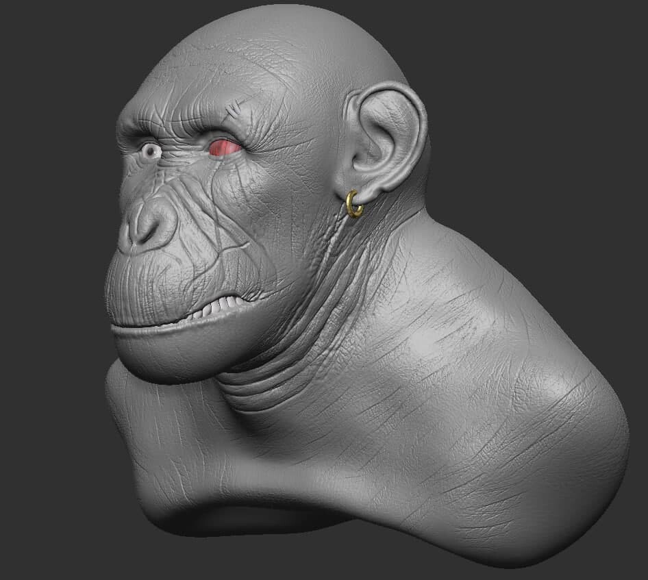 ArtStation - Character modelling of Monkey