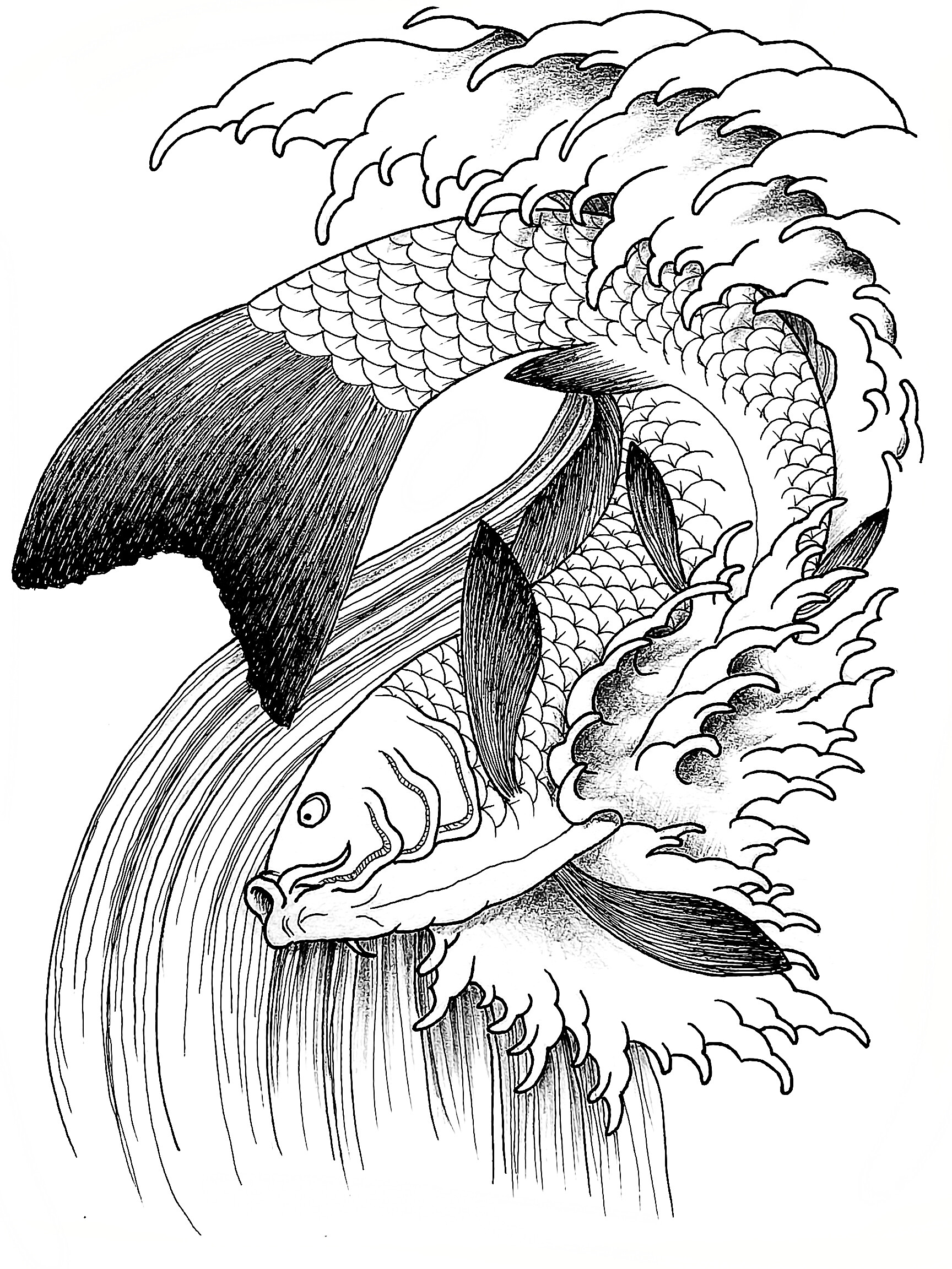 ArtStation - Koi fish Line art