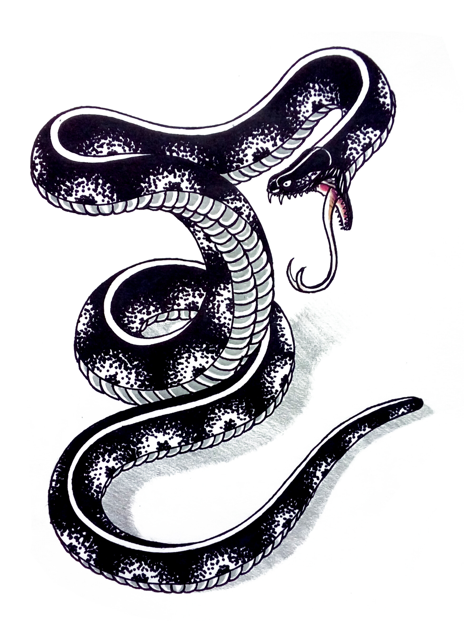 Japanese Snake Drawings