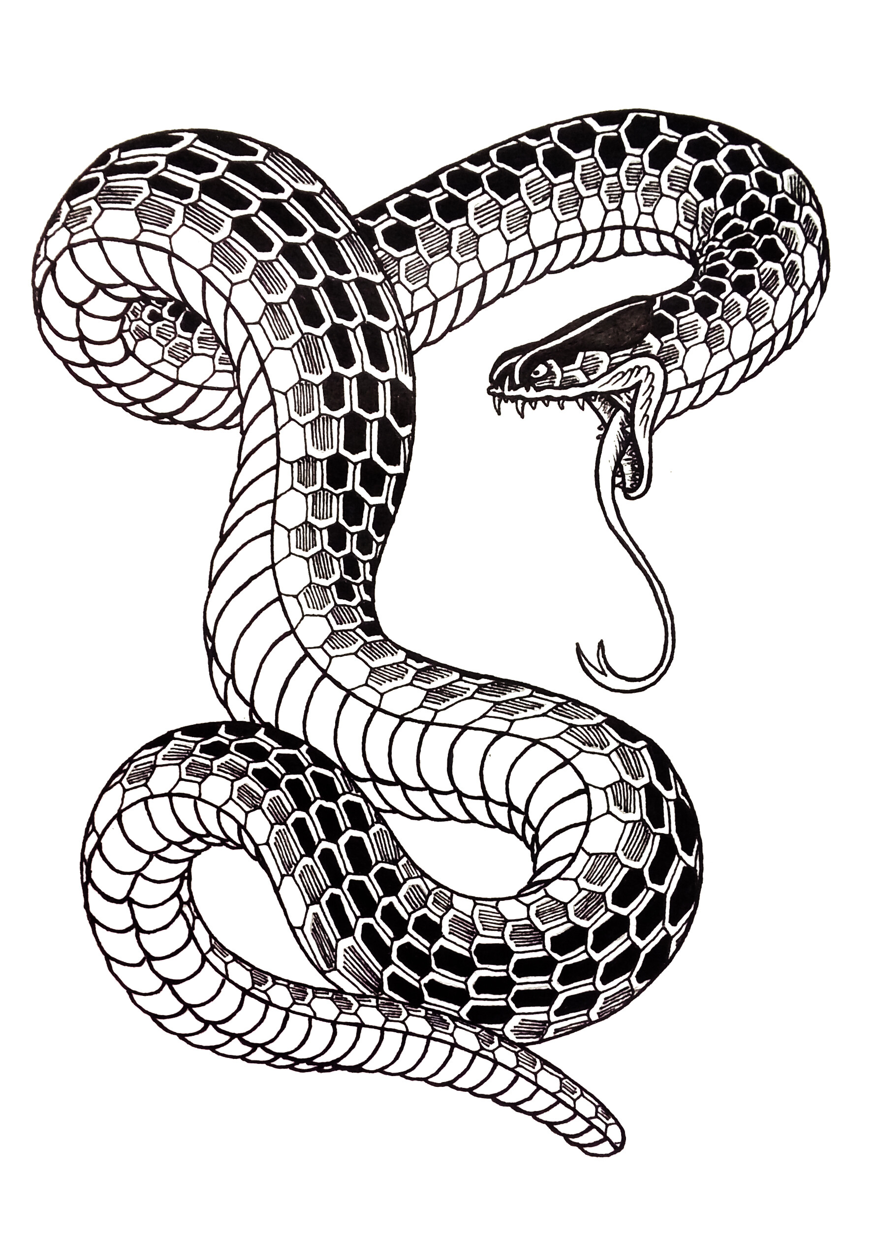 how to draw japanese snake