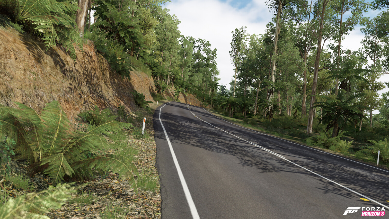 Oliver Wright - Forza Horizon 3 : Rainforest Biome