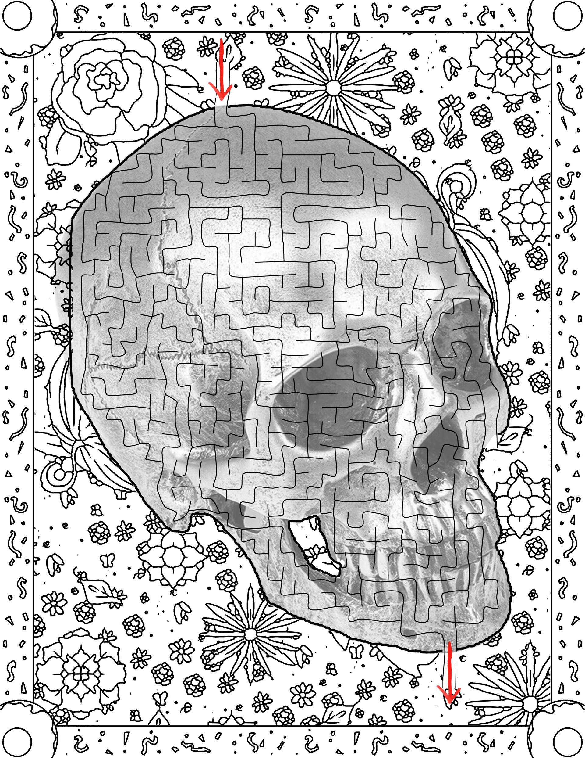 ArtStation - Skull Maze