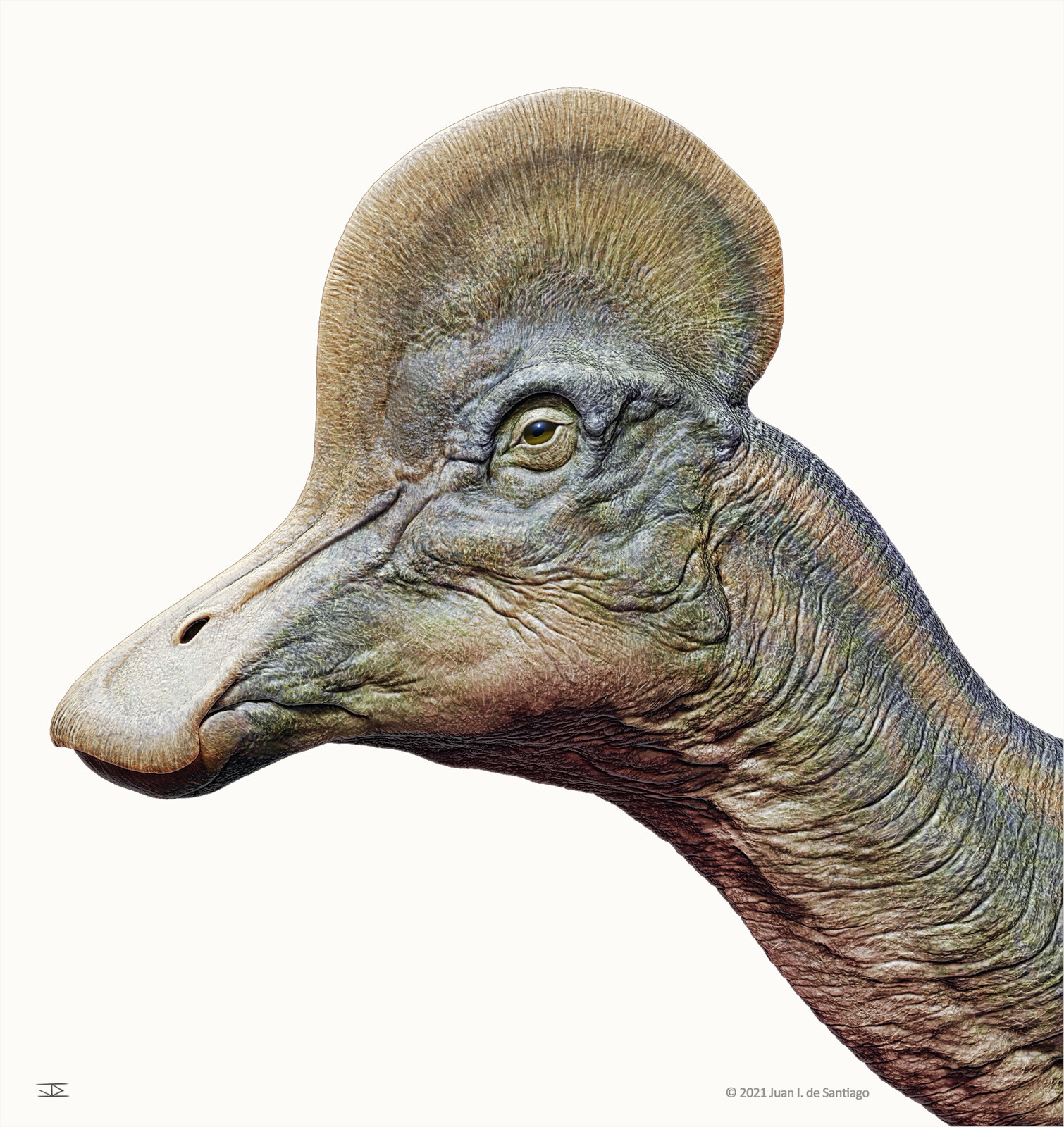 Juan de Santiago - Senior Asset and Creature Artist - Corythosaurus