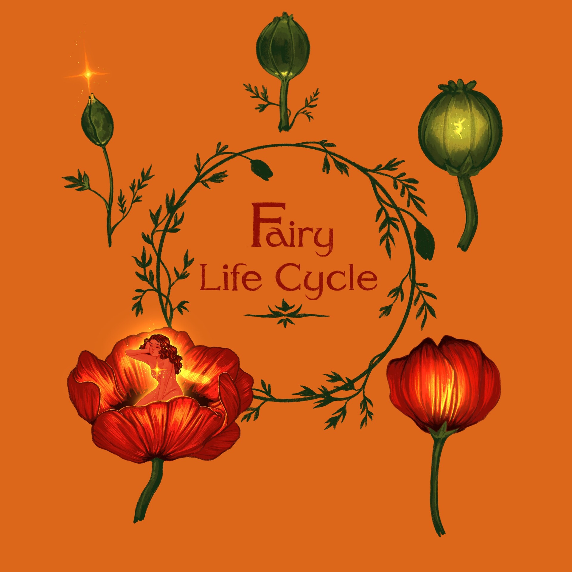 ArtStation - Fairy Life Cycle