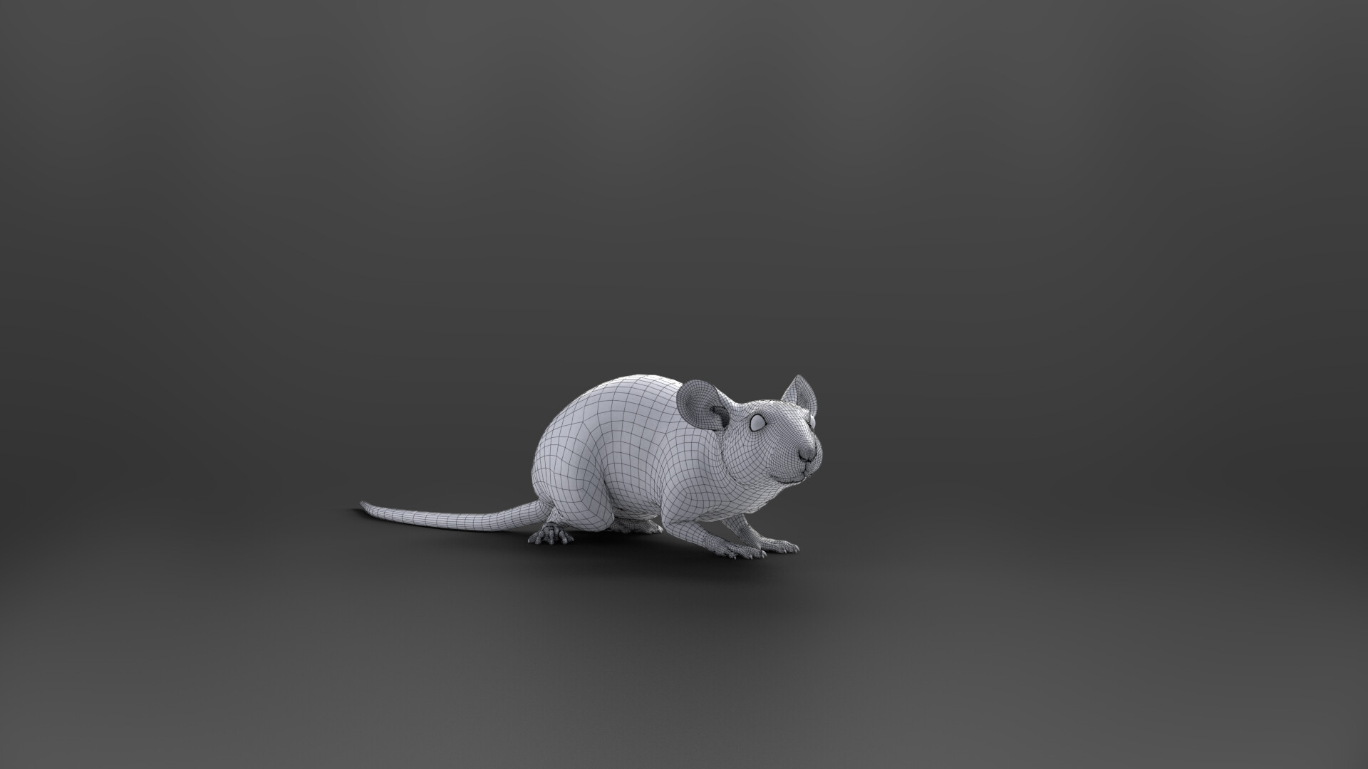 VFX models - Rat(Mouse) Animated | VFX Grace