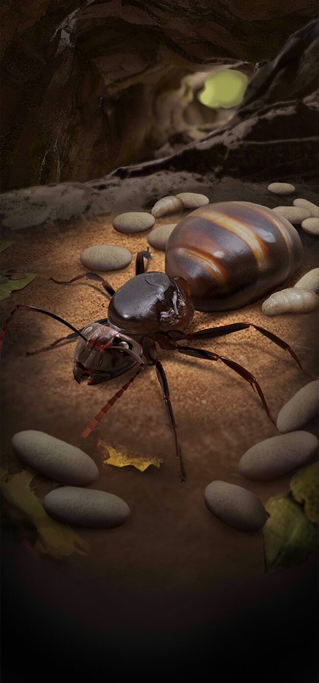 ArtStation - Ant working map in 2020《Ant Legion》