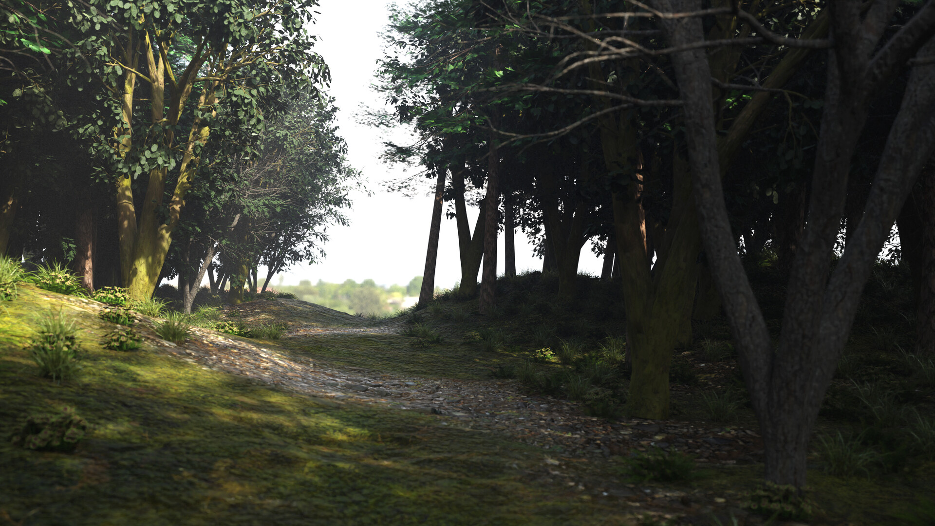 ArtStation - Forest Scene