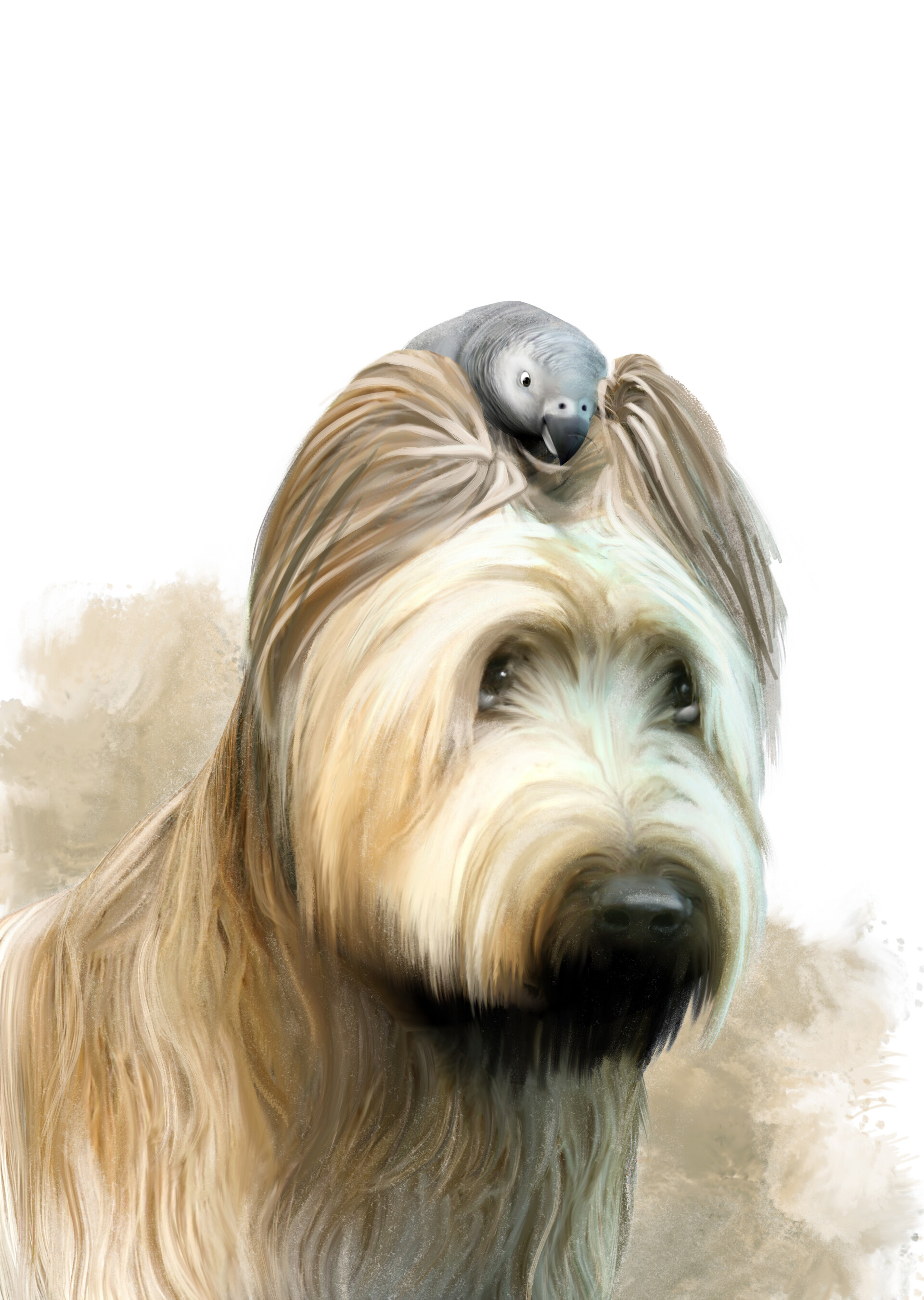 N Coulam - Book illustration