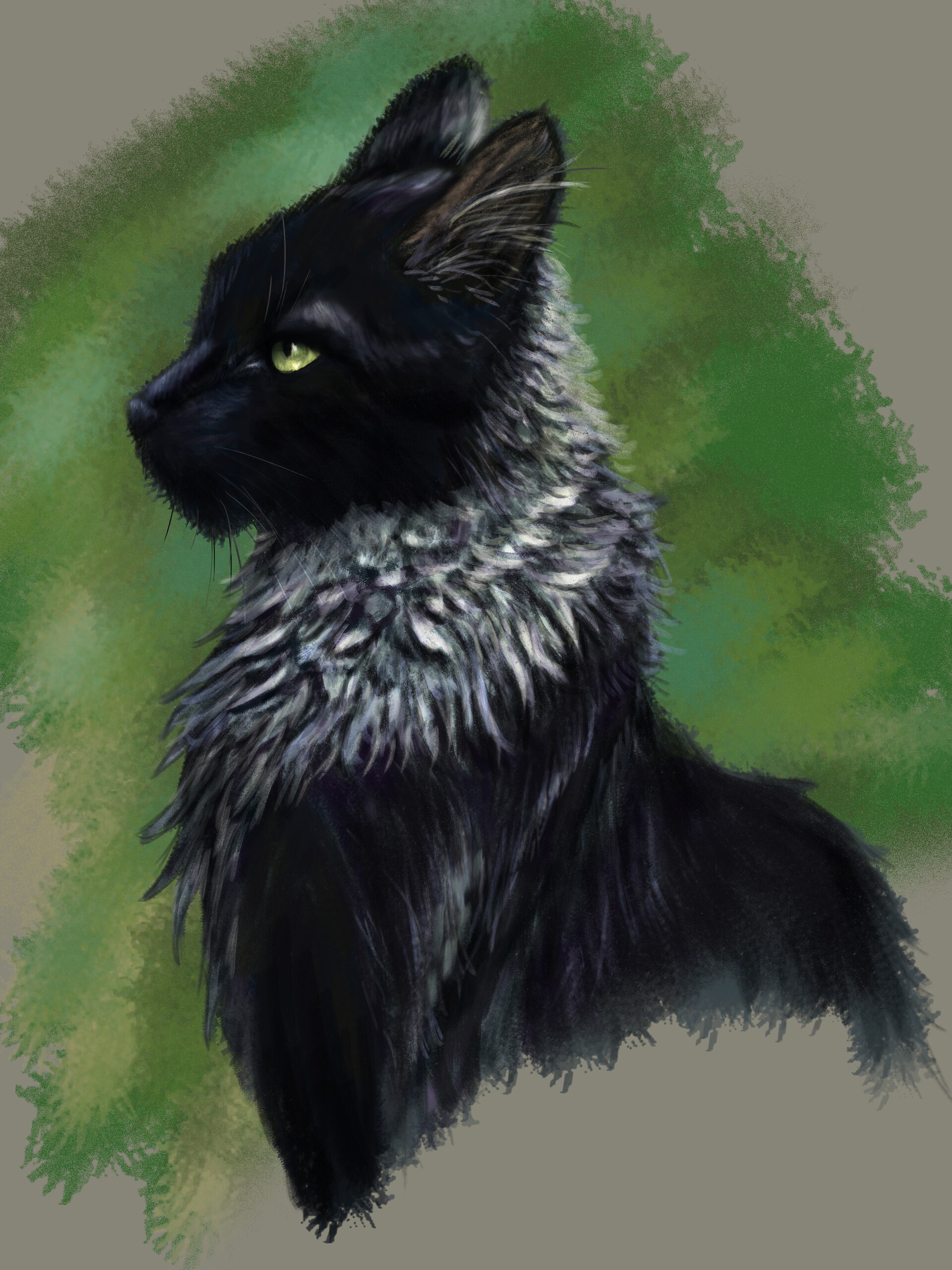 Ildy Izso - Study of a black cat