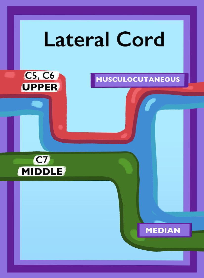ArtStation - Lateral Cord Card
