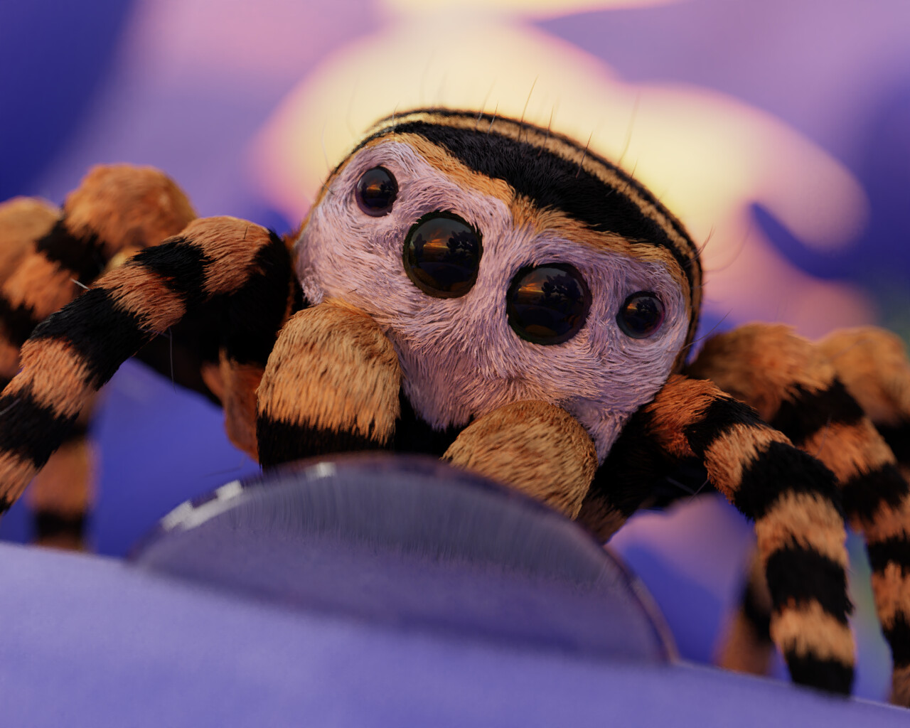 Spider That Looks Like A Bumble Bee