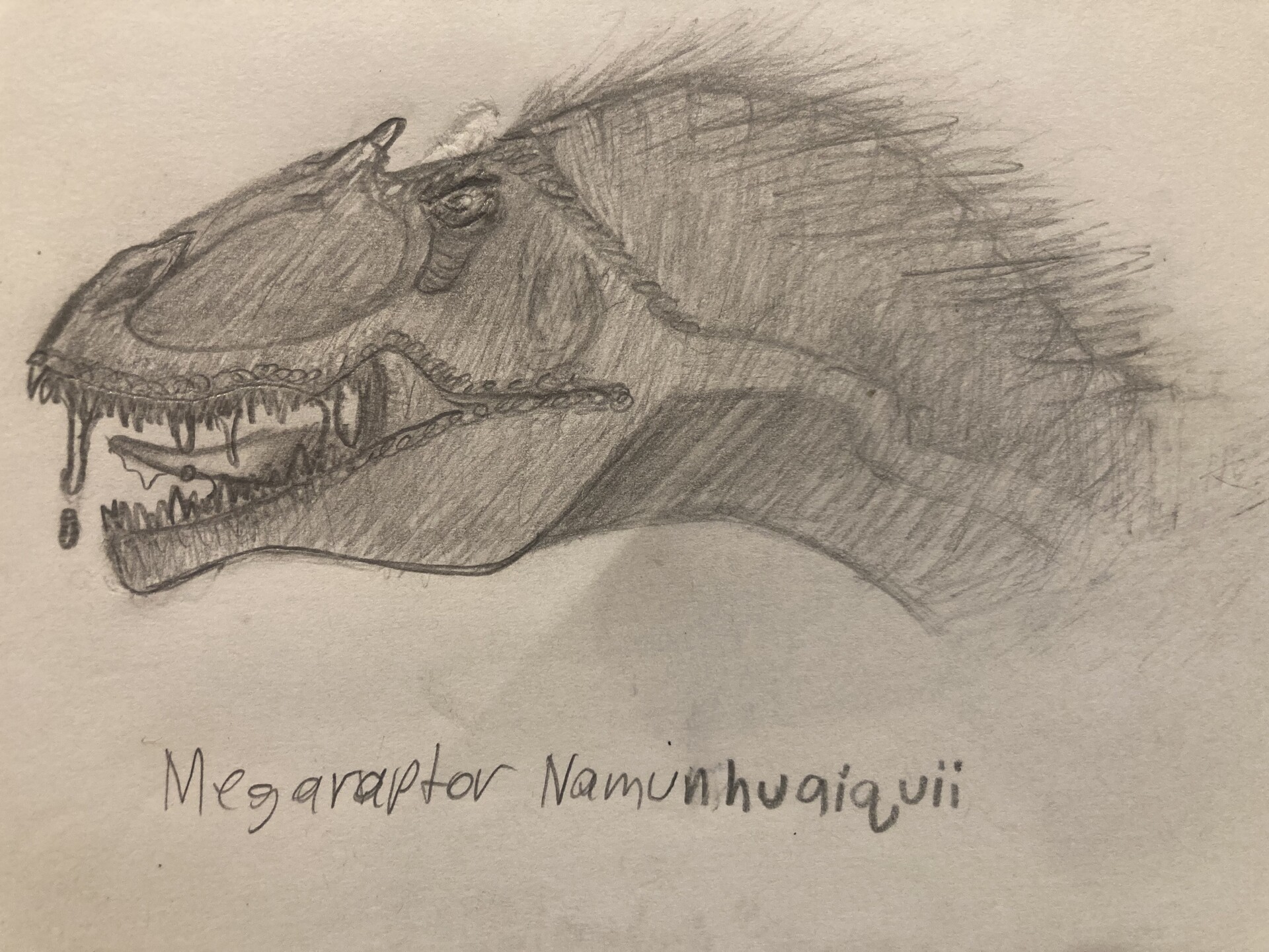 ArtStation - Megaraptor Namunhuaiquii