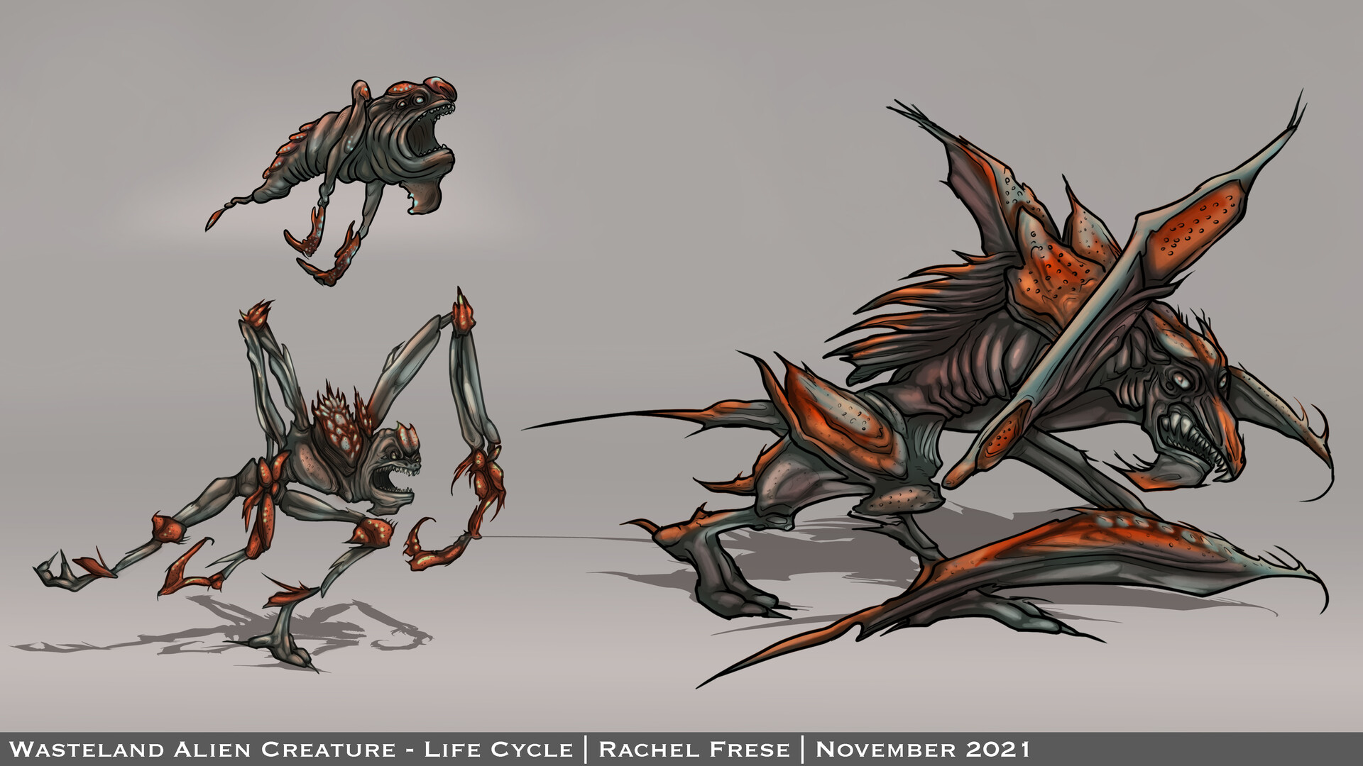 ArtStation - Wasteland Alien Creature - Life Cycle