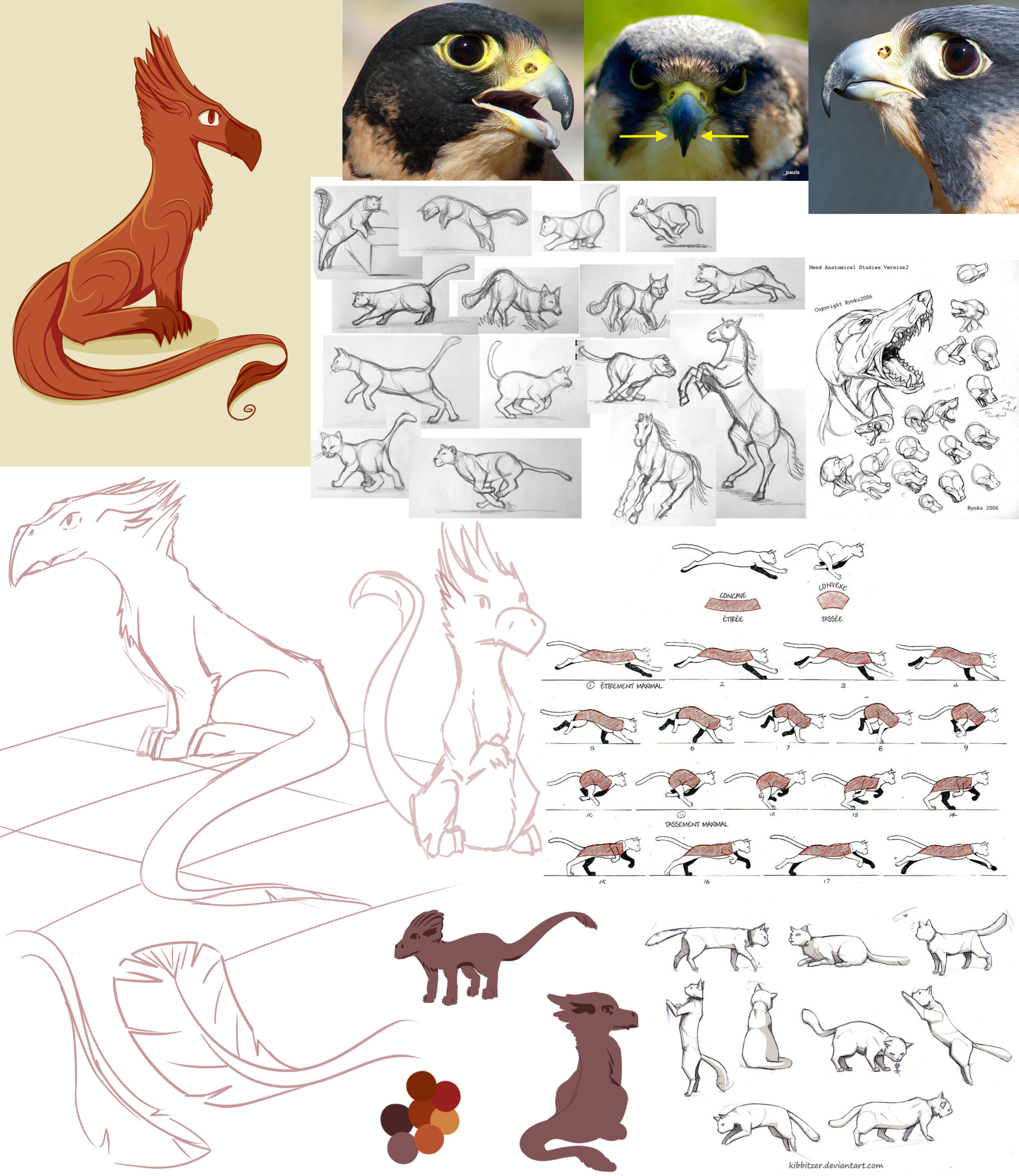 Martina Kisova - The Copper Drake