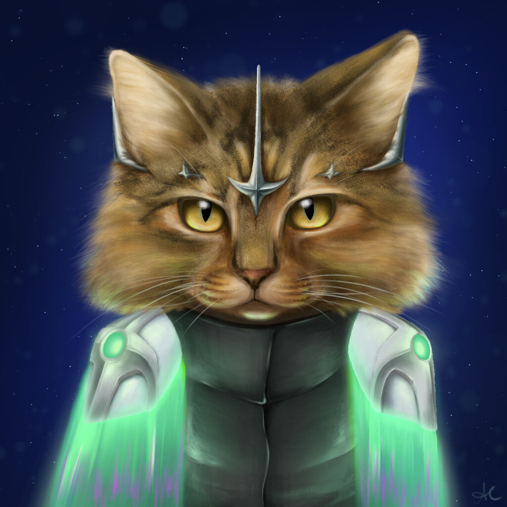 Allie Chen - Space Fantasy Cats