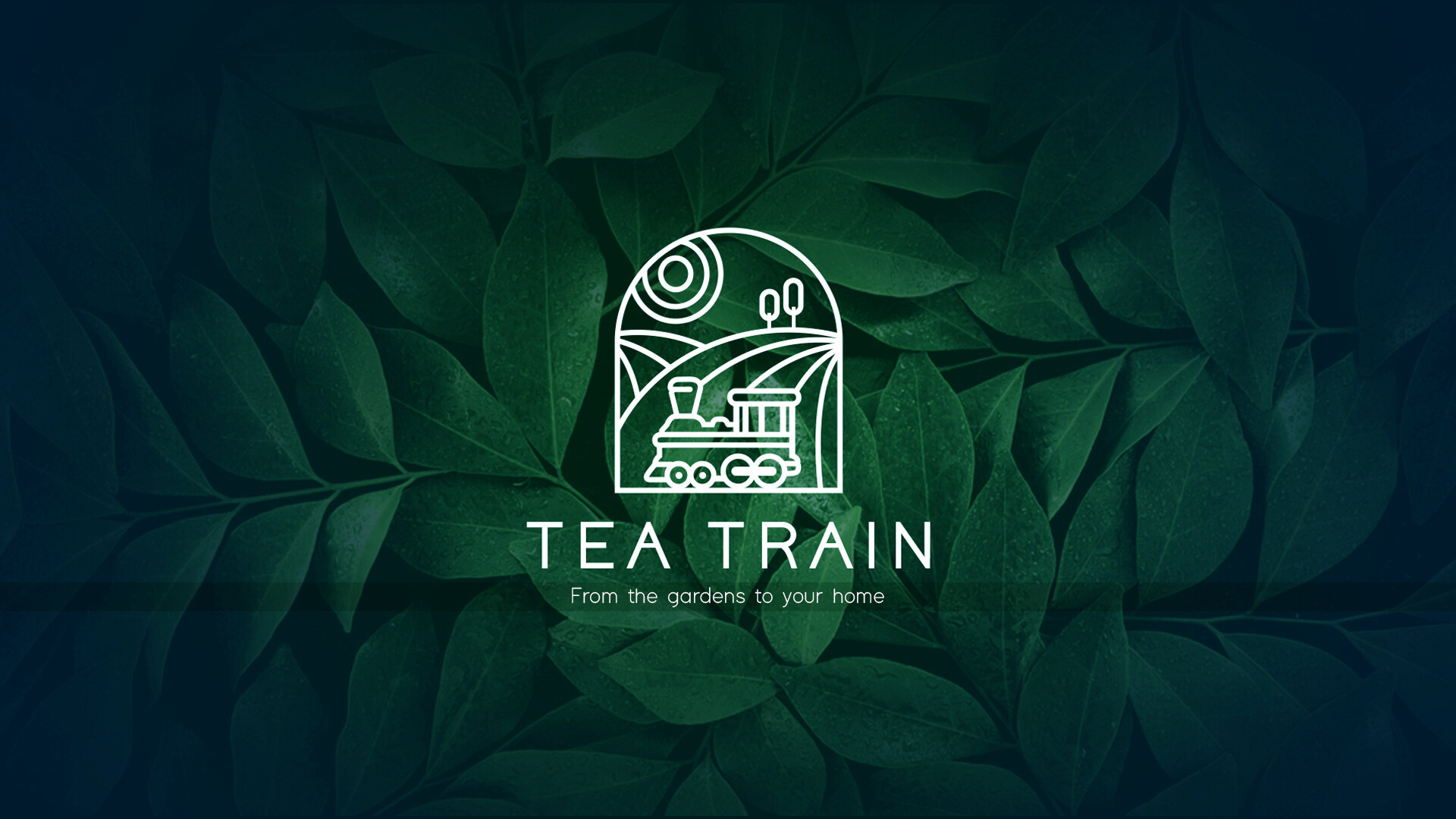 Zubin Mehta - Tea Train | Branding Concept