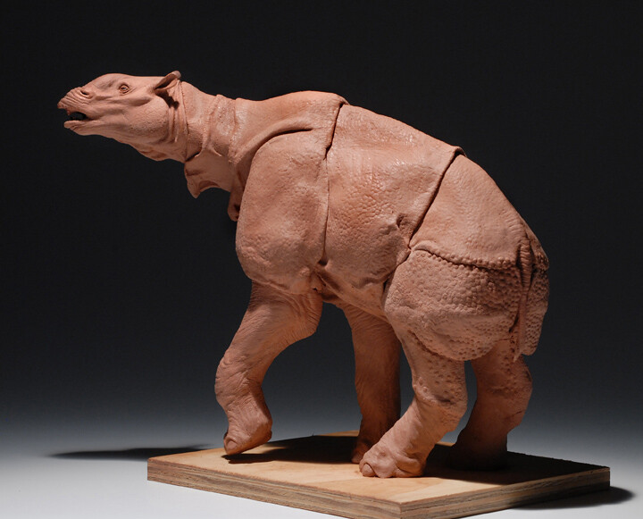 ArtStation - Paraceratherium