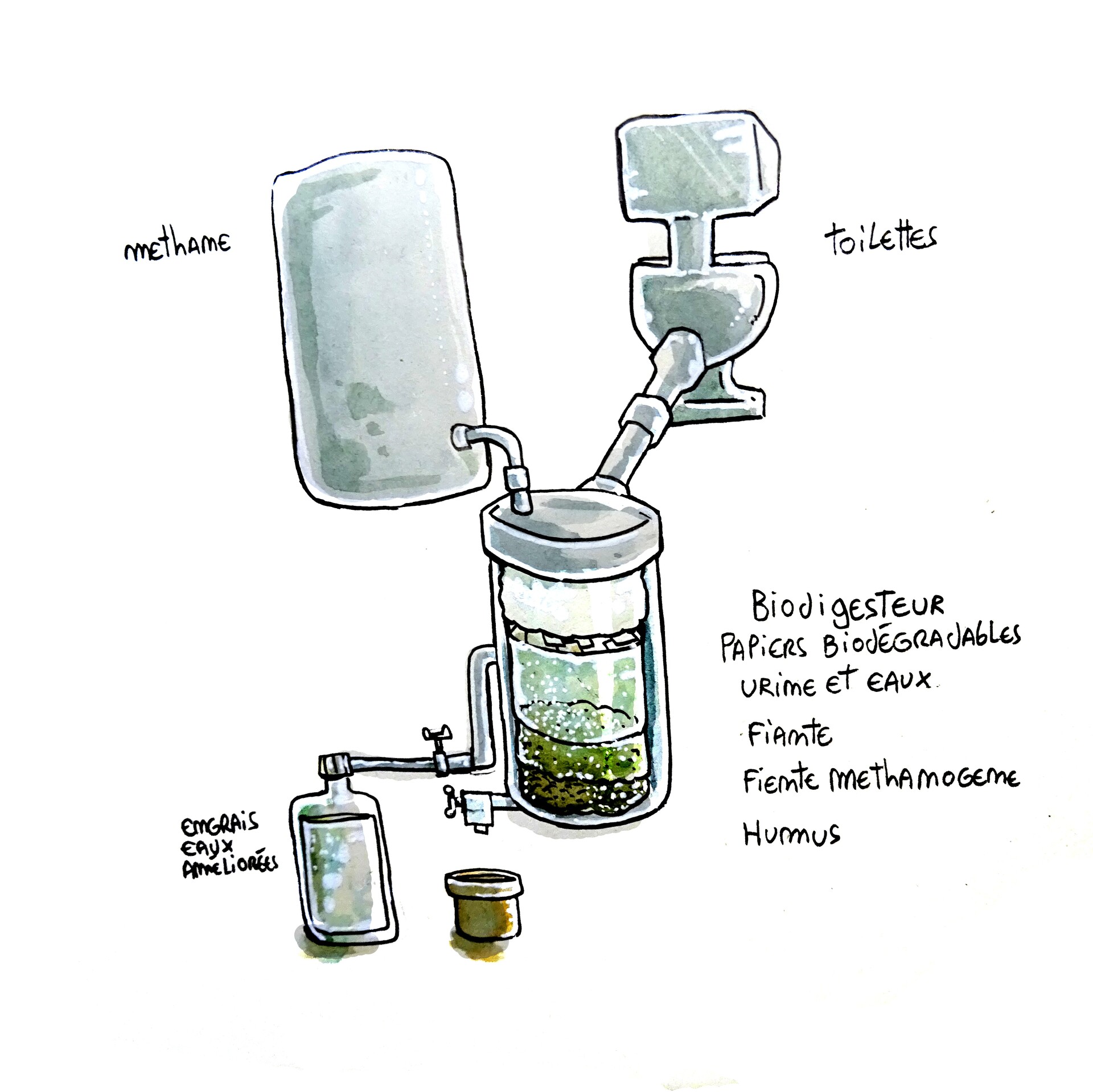 ArtStation - biodigestion