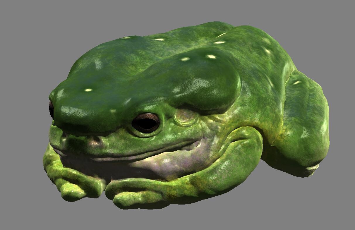 ArtStation - Magnificent Tree Frog