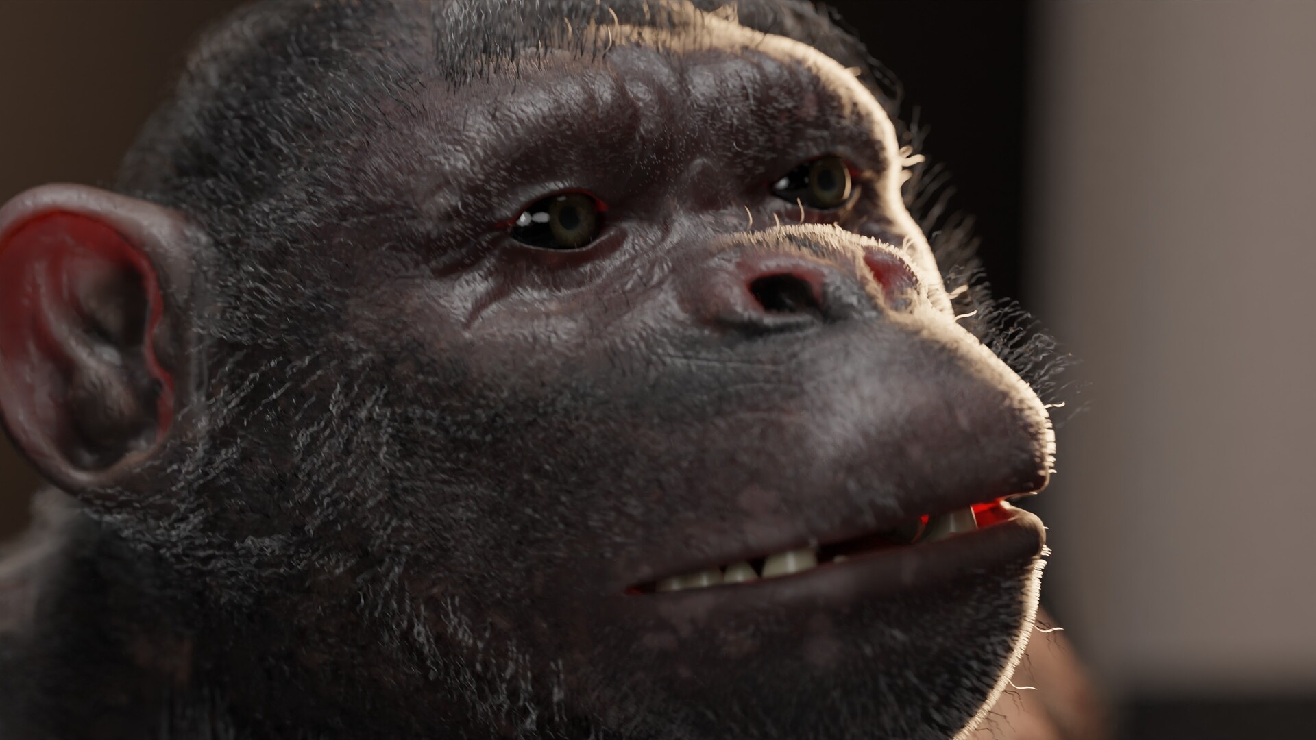 ArtStation - "Frank" - Chimpanzee Character Progress