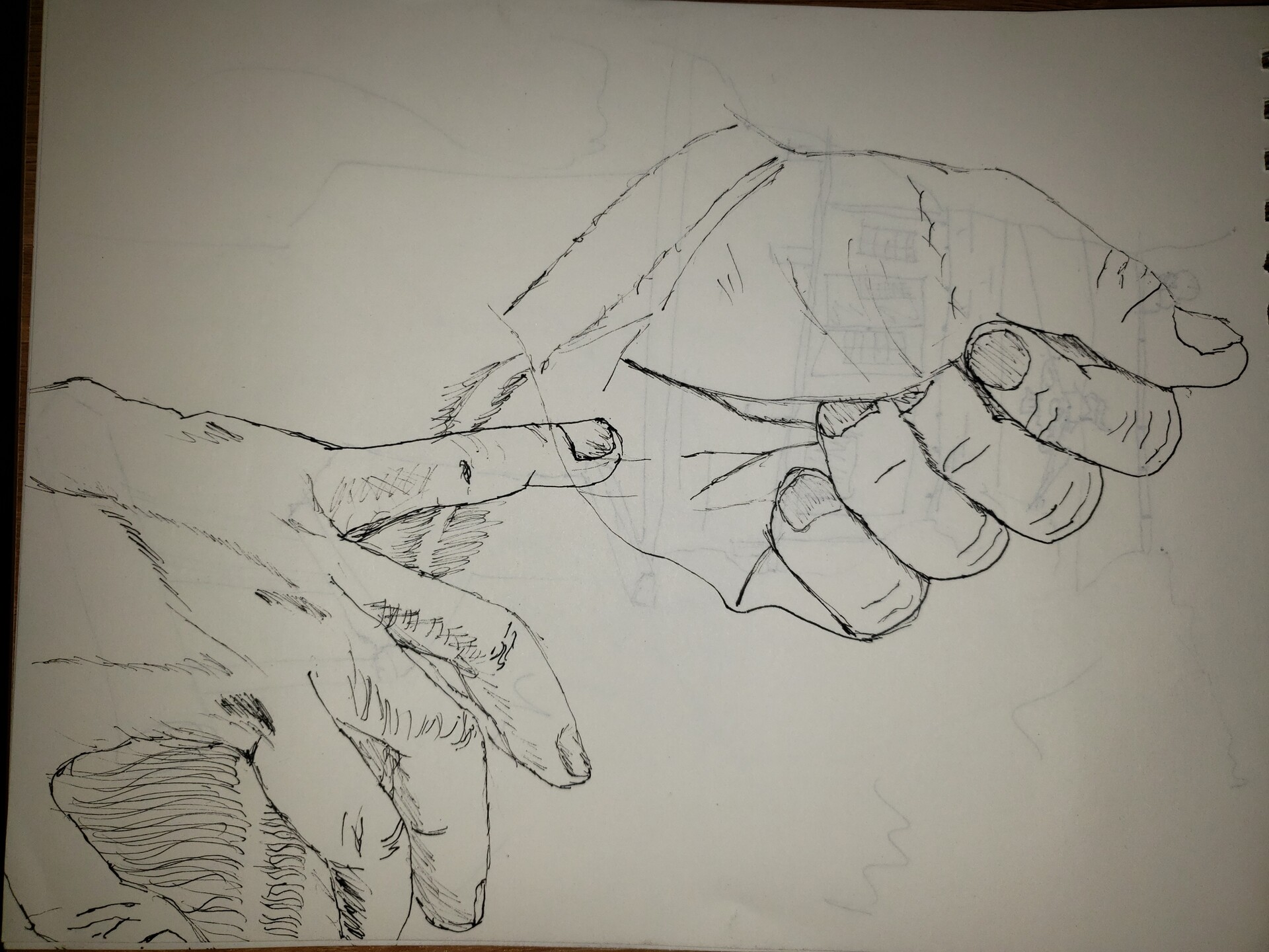 ArtStation - Working with Hands