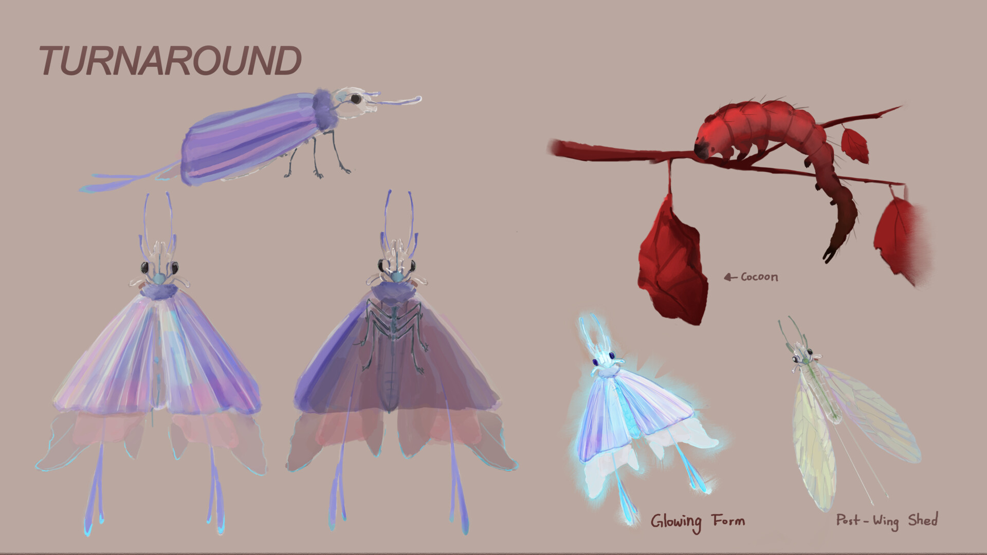 Memia Lin - Character Concept Design -Alexandria & Year moth