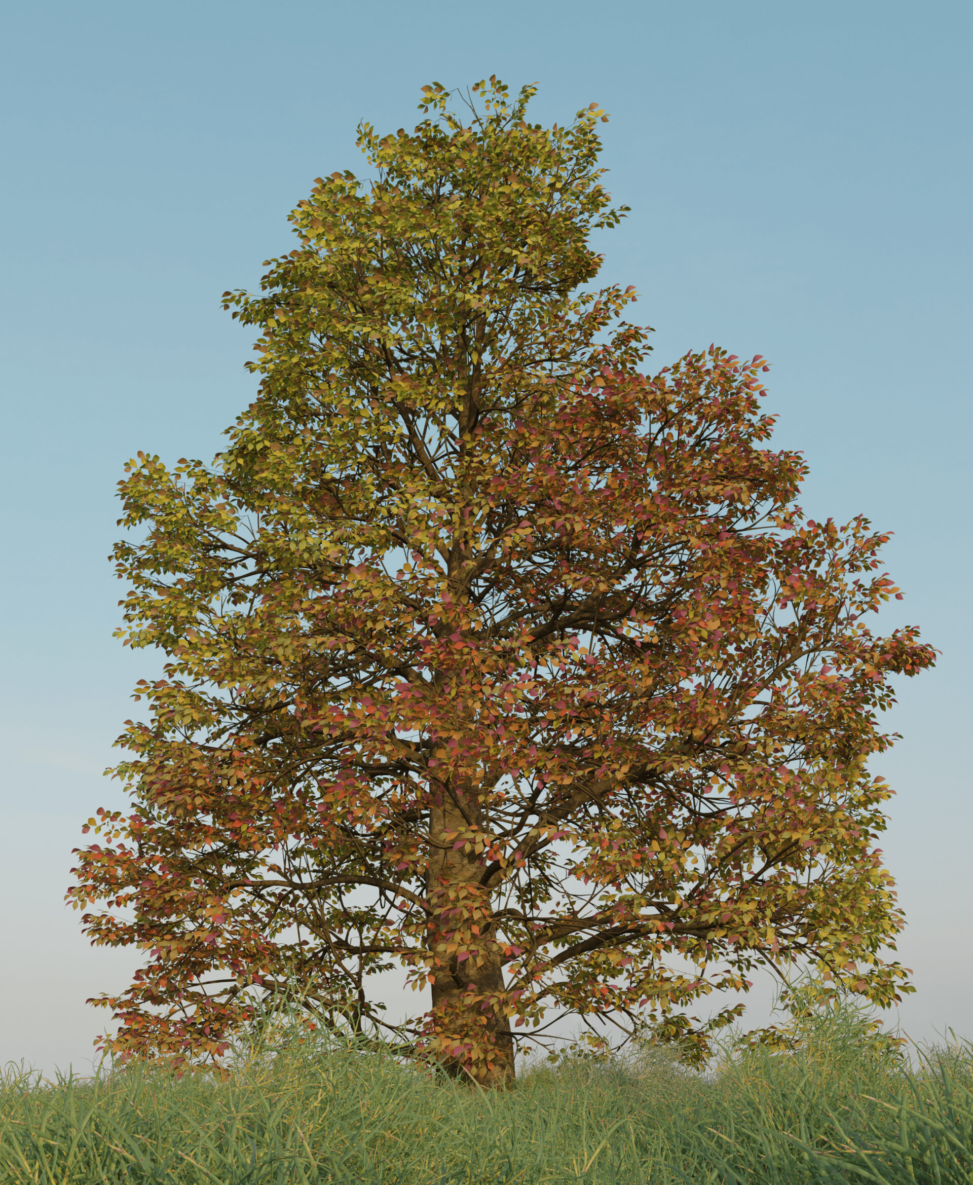 ArtStation - Tall Tree