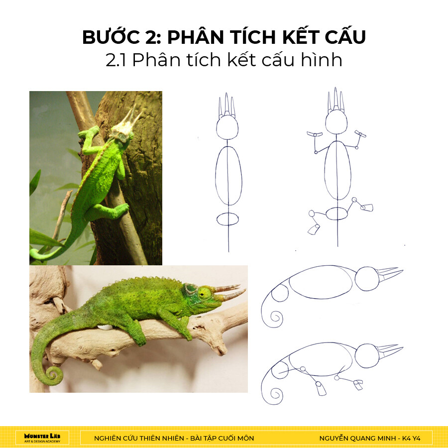 academy.monsterlab - Sorcerer Ogwu - Exercise in Nature Sketching