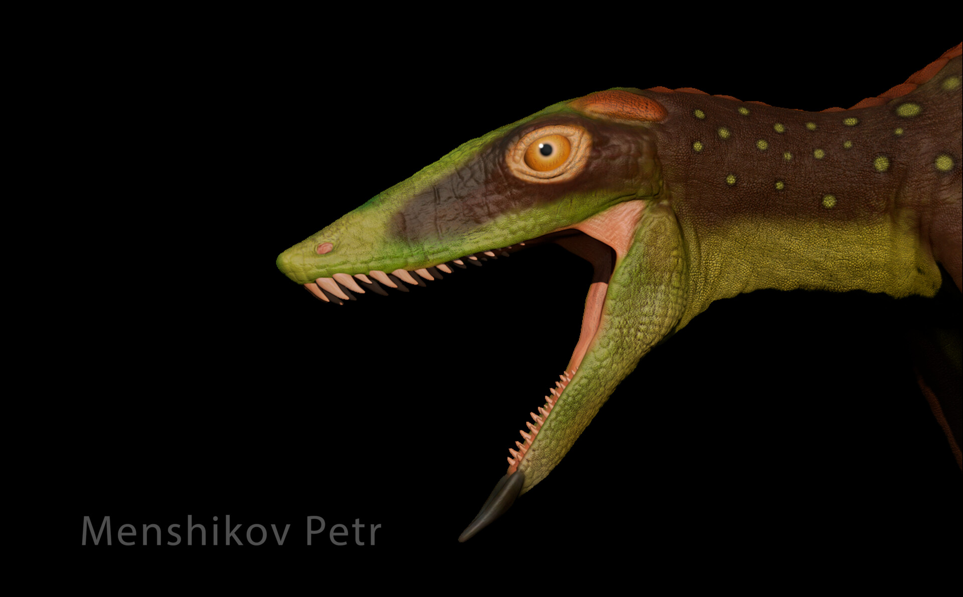 petr menshikov (looking for job) - 3d model of Hallopus victor