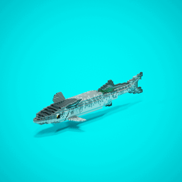 Vizuu3d - Voxel Remora Fish