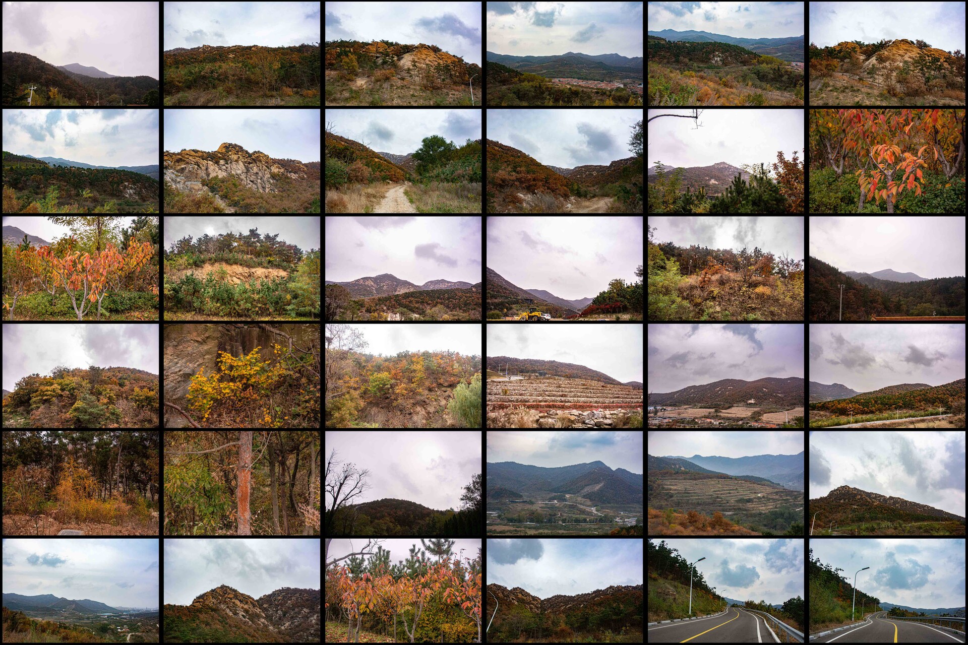 pig jio - Coastal Mountains_Reference Pack