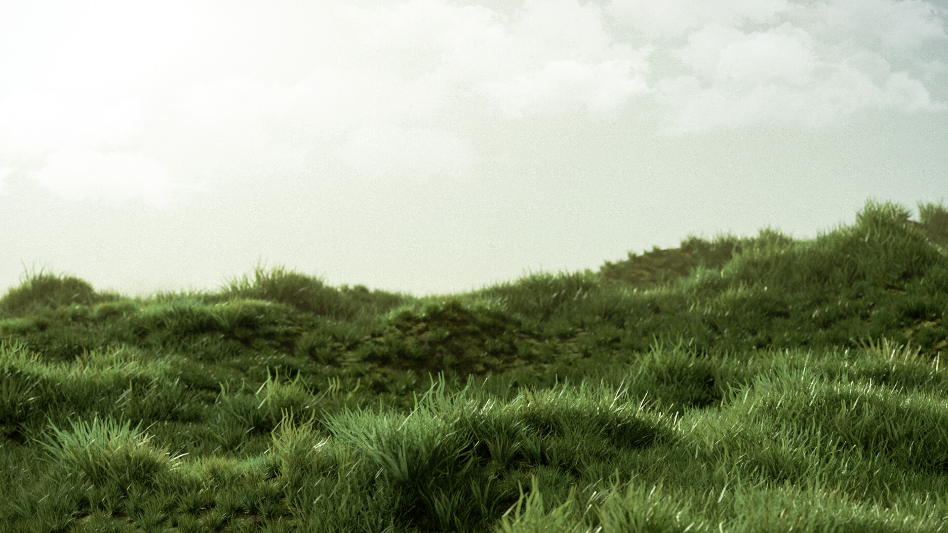 ArtStation - Grass Field